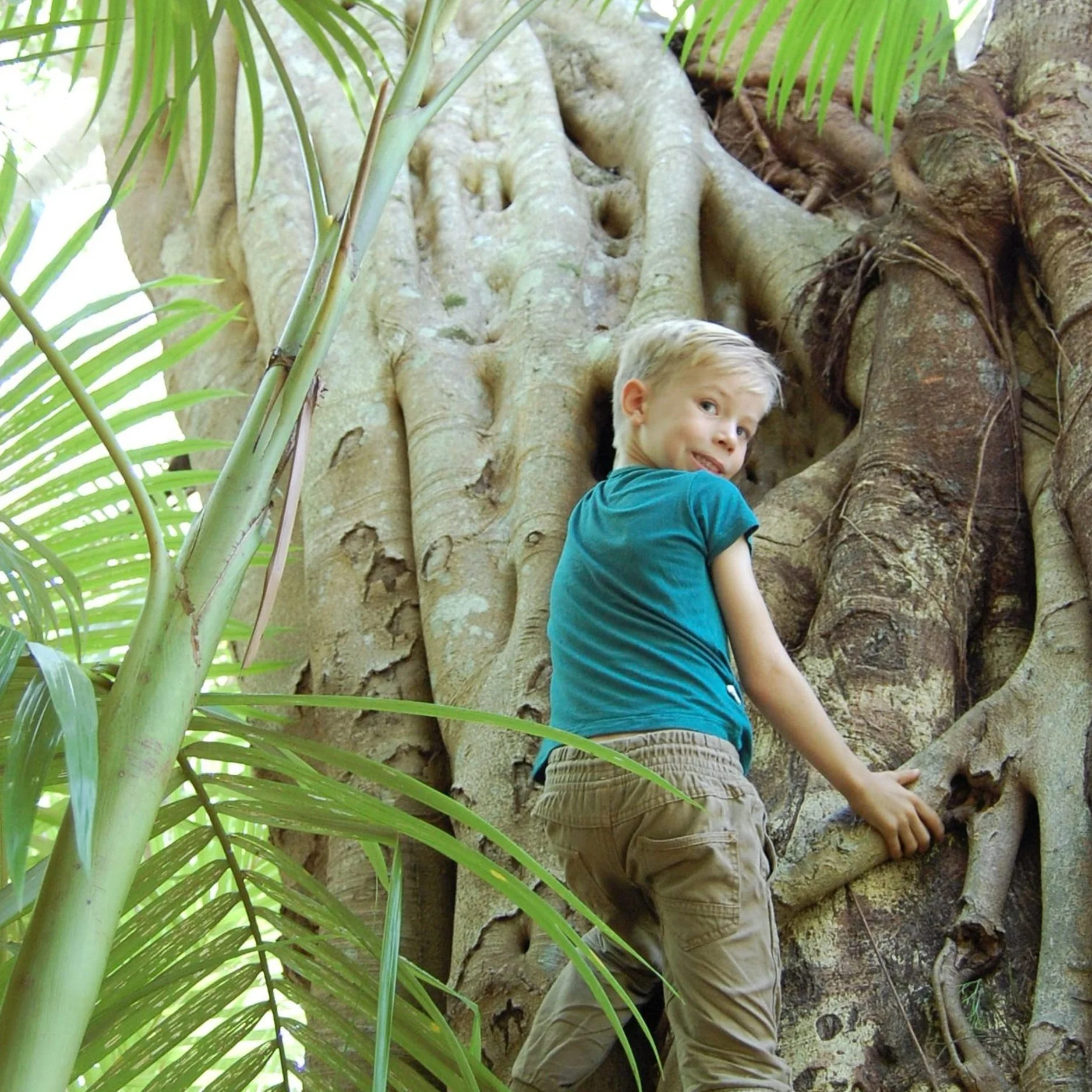Your Complete Guide to Risky Play at Heights — Wildlings Forest School