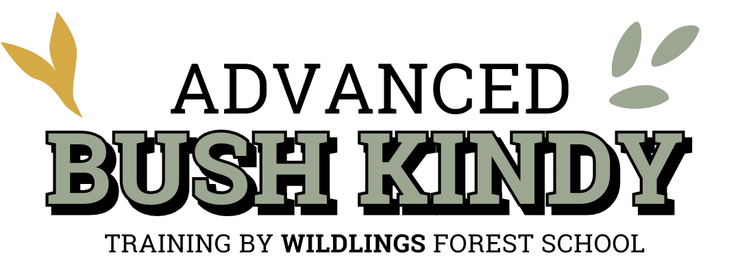 Nature Play and Bush Kindy Training — Wildlings Forest School