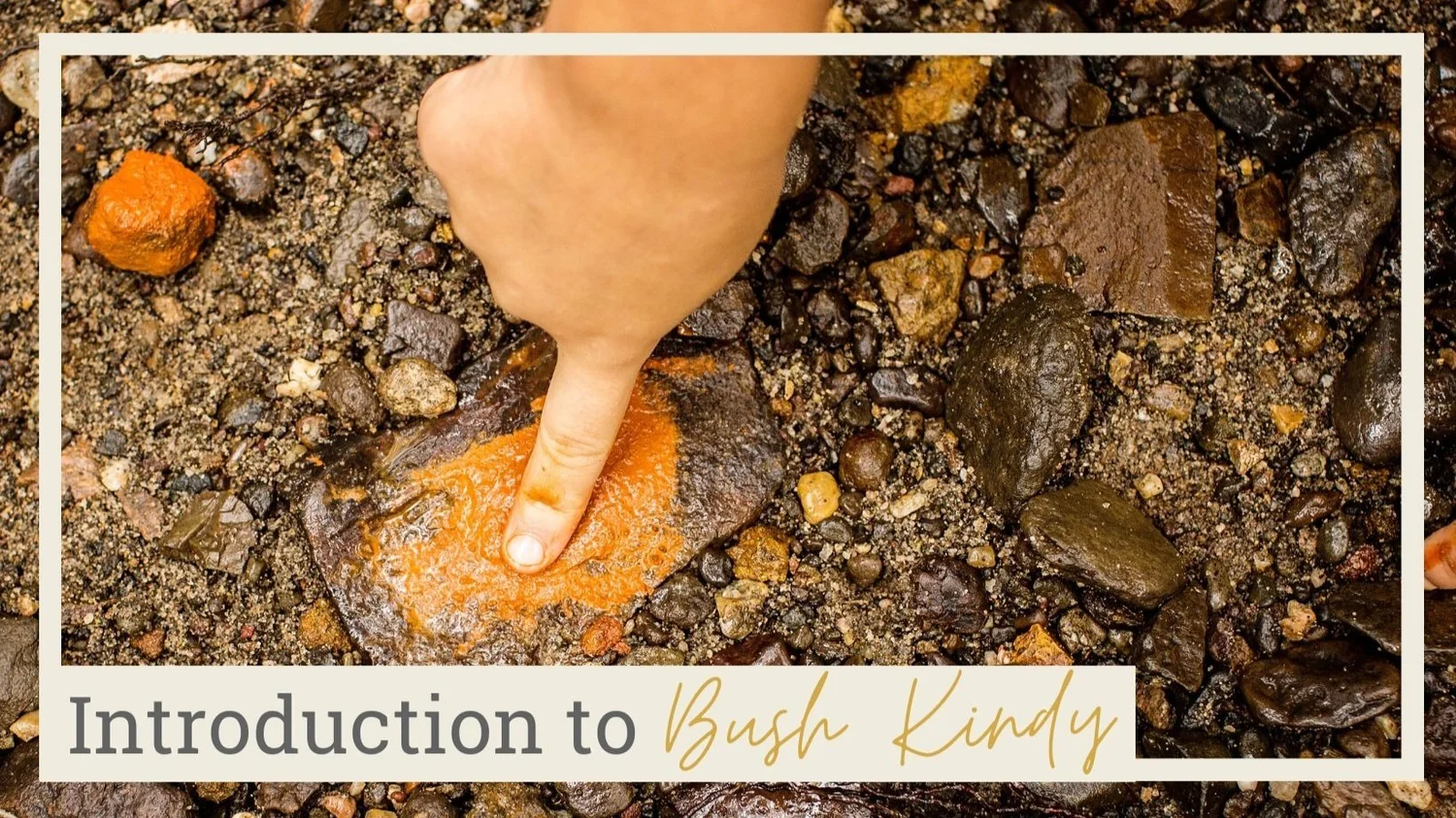 Bush Kindy Training — Wildlings Forest School