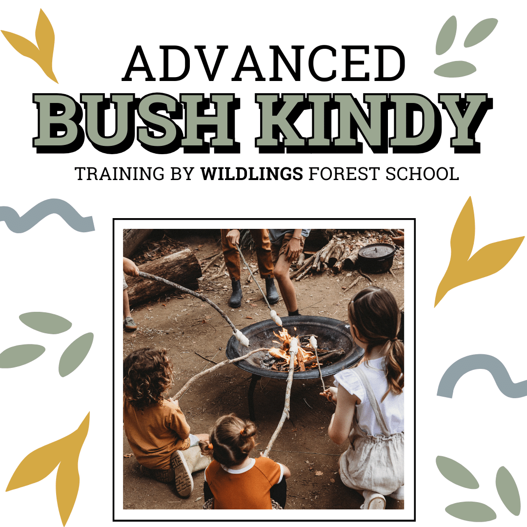 Nature Play and Bush Kindy Training — Wildlings Forest School