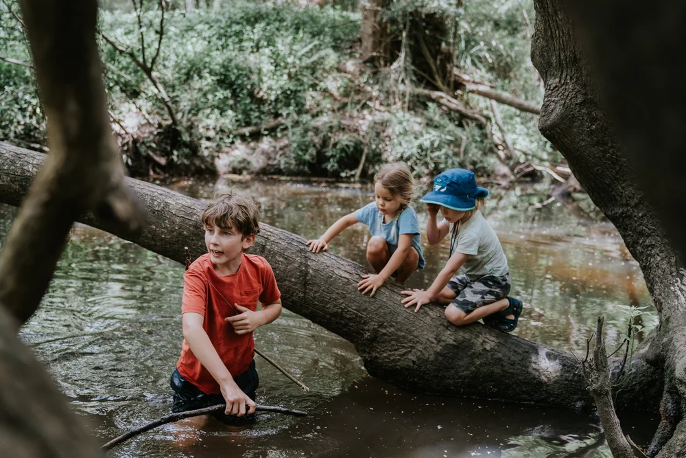 5 Games to Encourage Nature Play & Multi-Age Socialisation — Wildlings ...