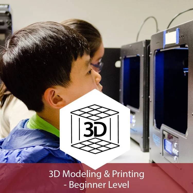3D Modeling and Printing Beginner: Grades K - 2 [Imagination Ignites in ...