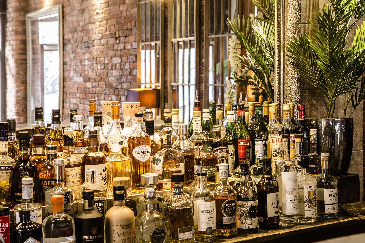 Image Gallery | Boutique Hotel | Manchester — Cow Hollow