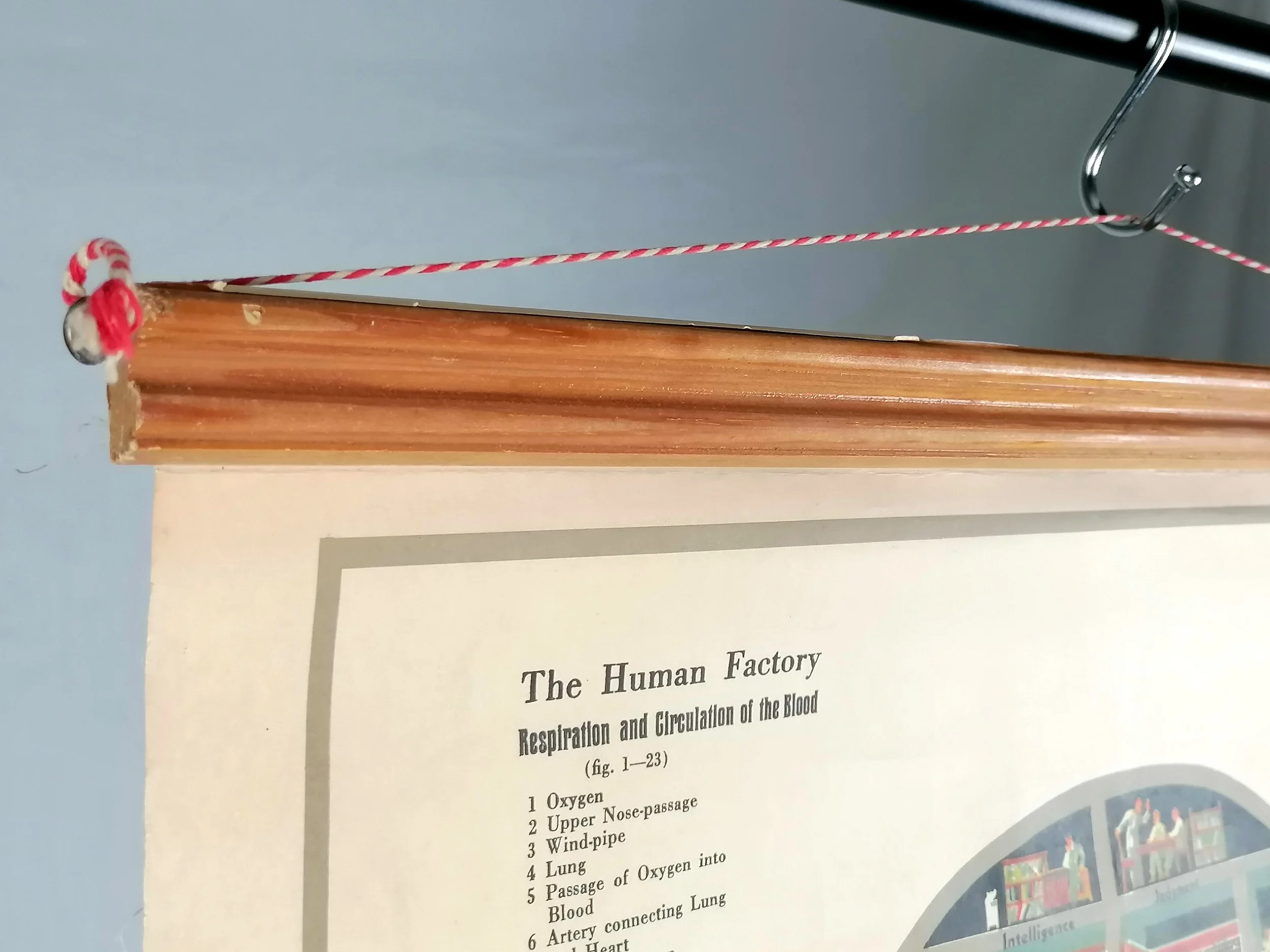 Fritz Khan's 'The Human Factory' Poster - English Edition (1942 ...