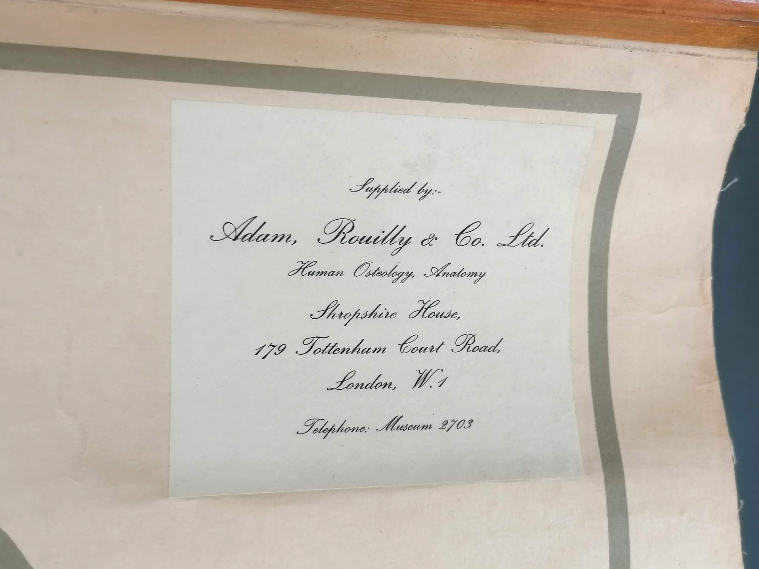 Fritz Khan's 'The Human Factory' Poster - English Edition (1942 ...