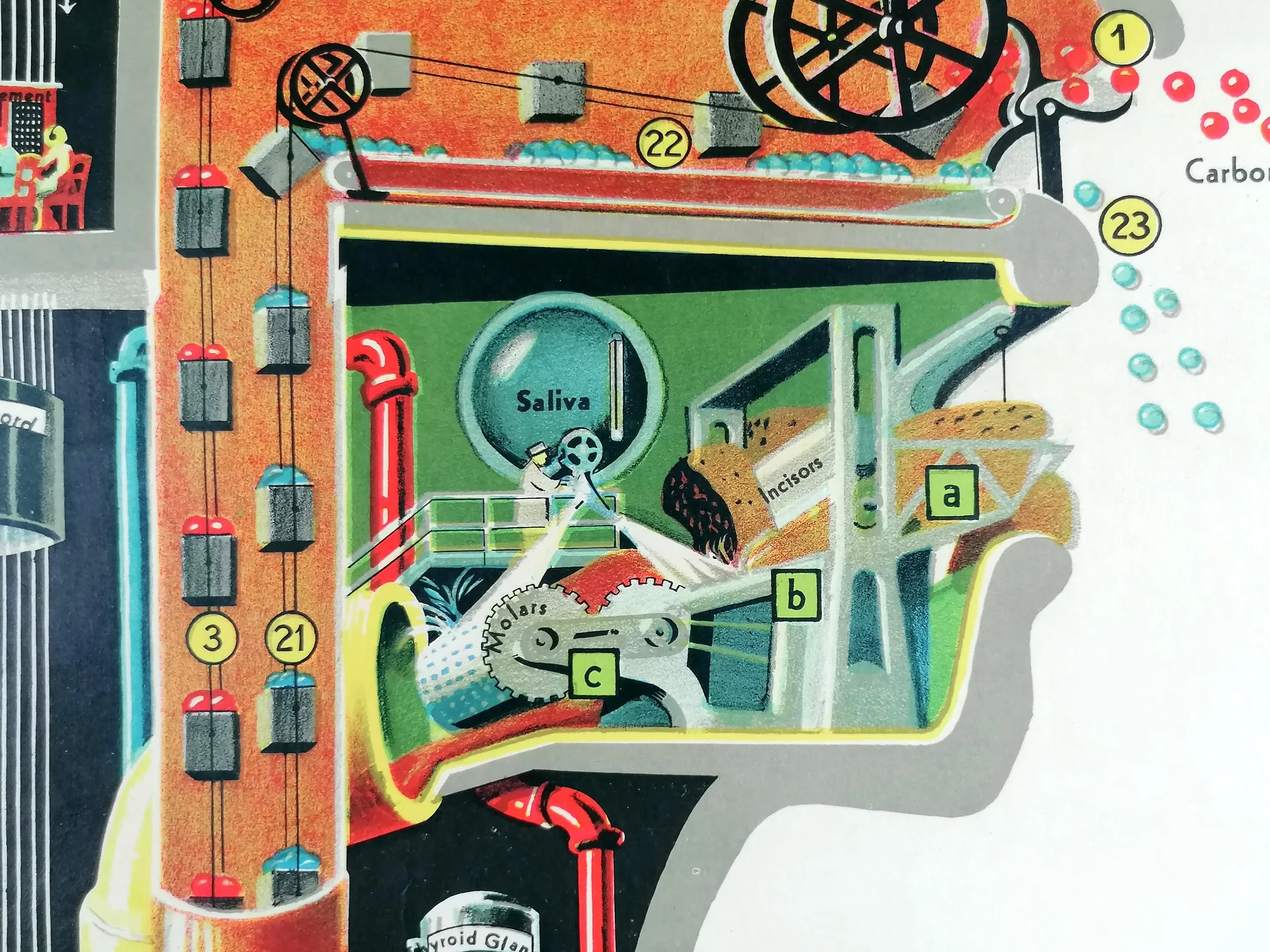 Fritz Khan's 'The Human Factory' Poster - English Edition (1942 ...