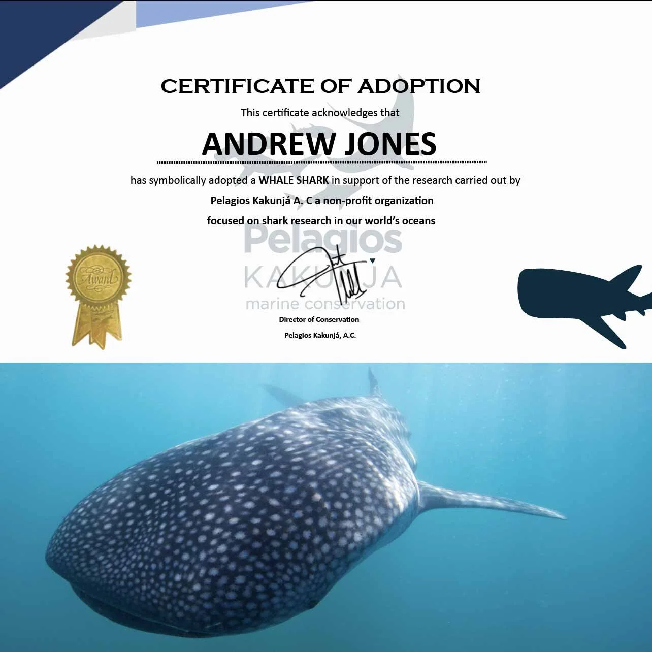 Whale Shark Adoption page — Pelagios Kakunja