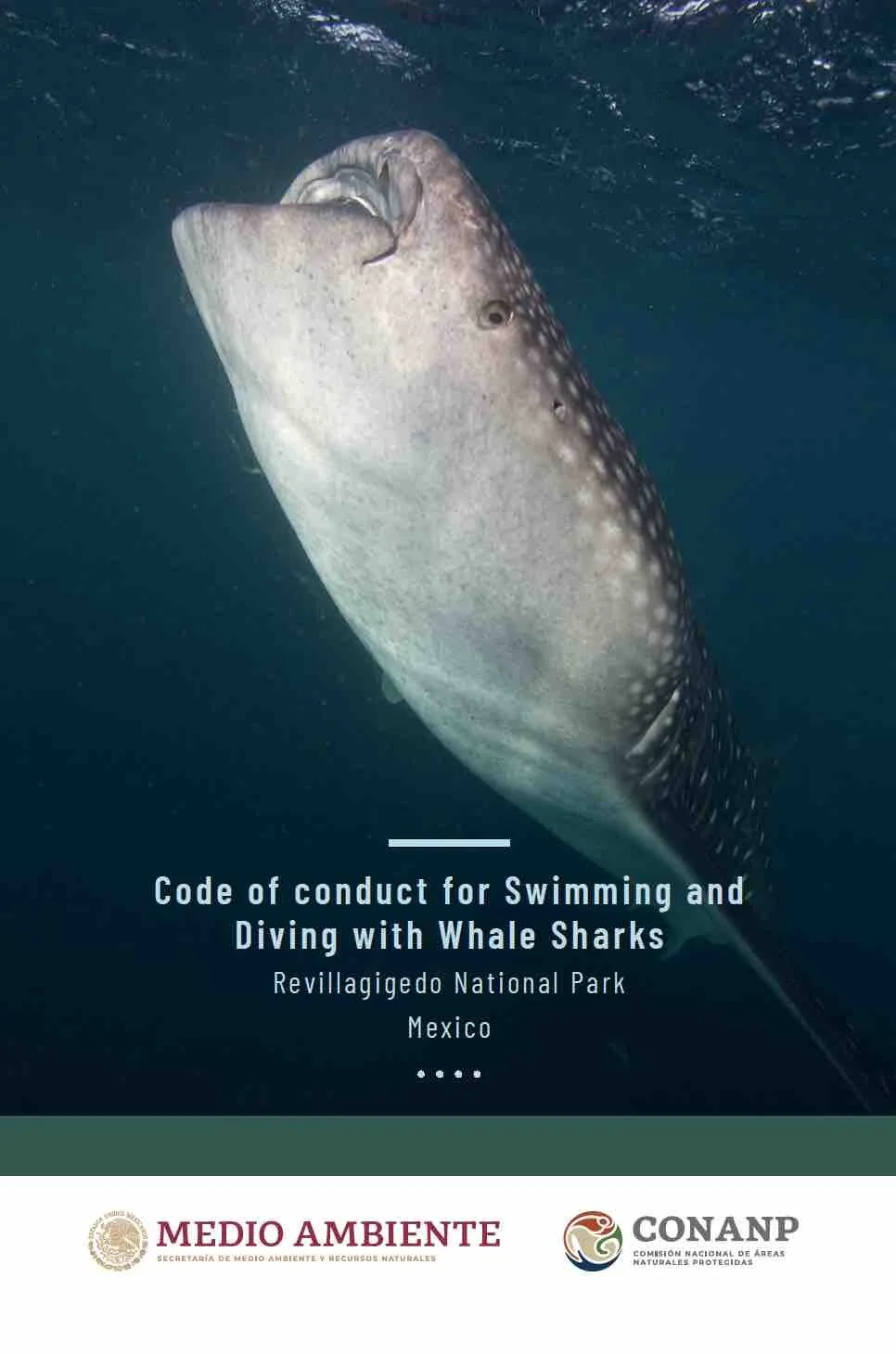 Code of Conduct for Swimming and Diving with Whale Sharks in ...