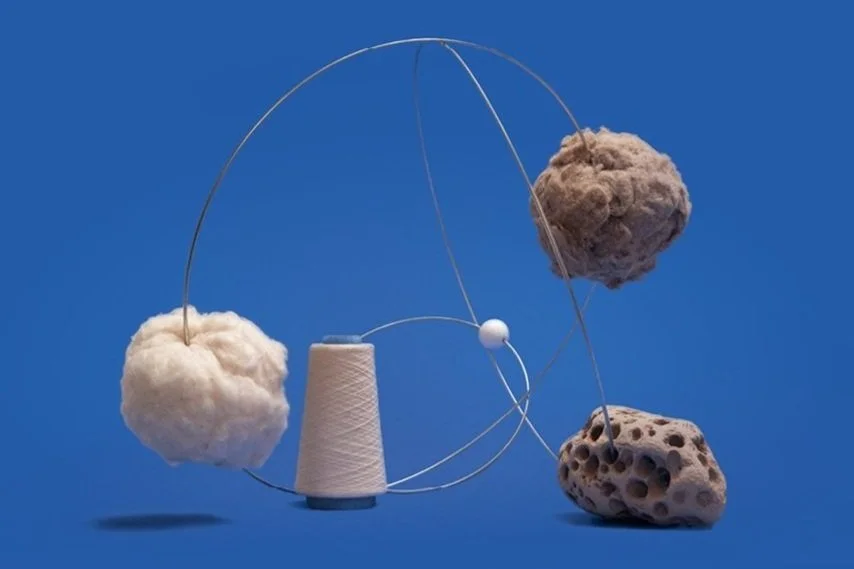 Circular Systems | Regenerative Impact