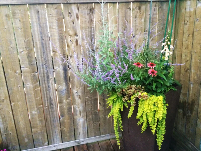 Perennial Planters & Pots for Patios in Zone 6 — Heirloom Soul Florals