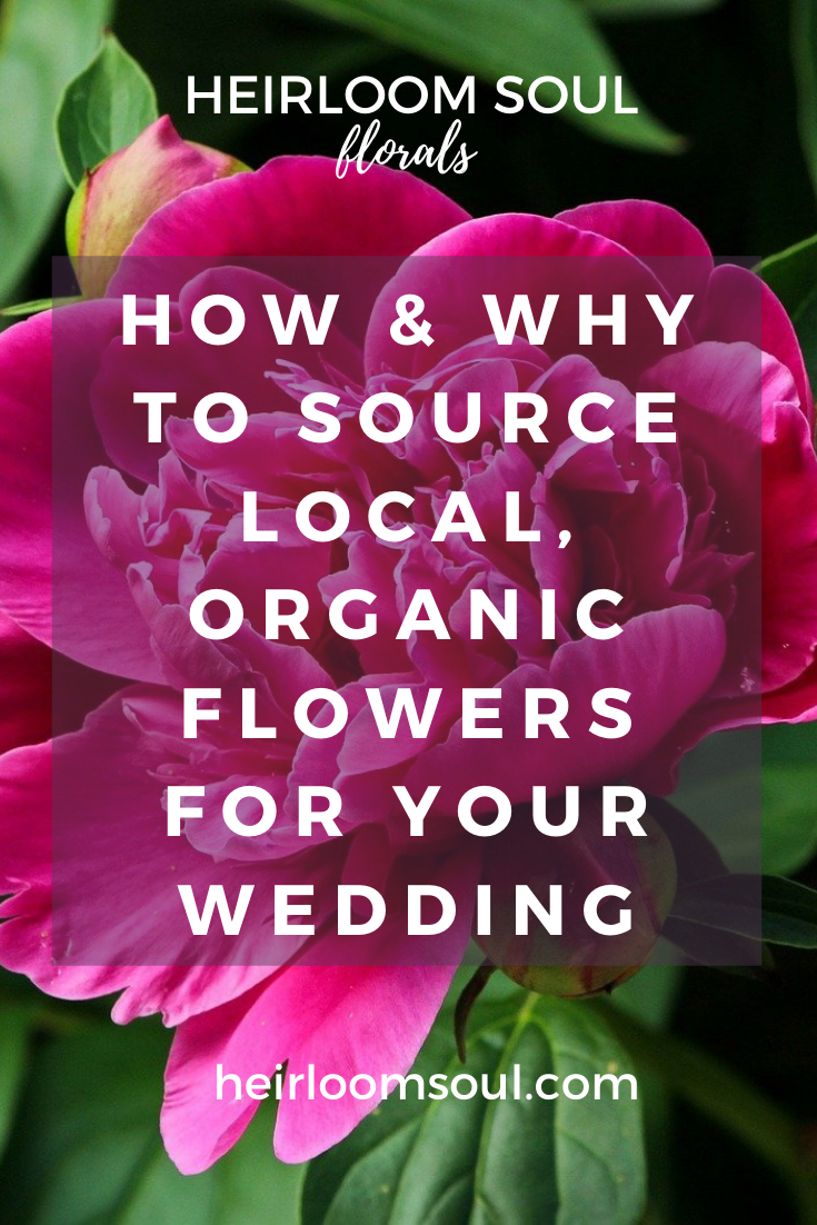 Why Local Flowers are So Important — Heirloom Soul Florals