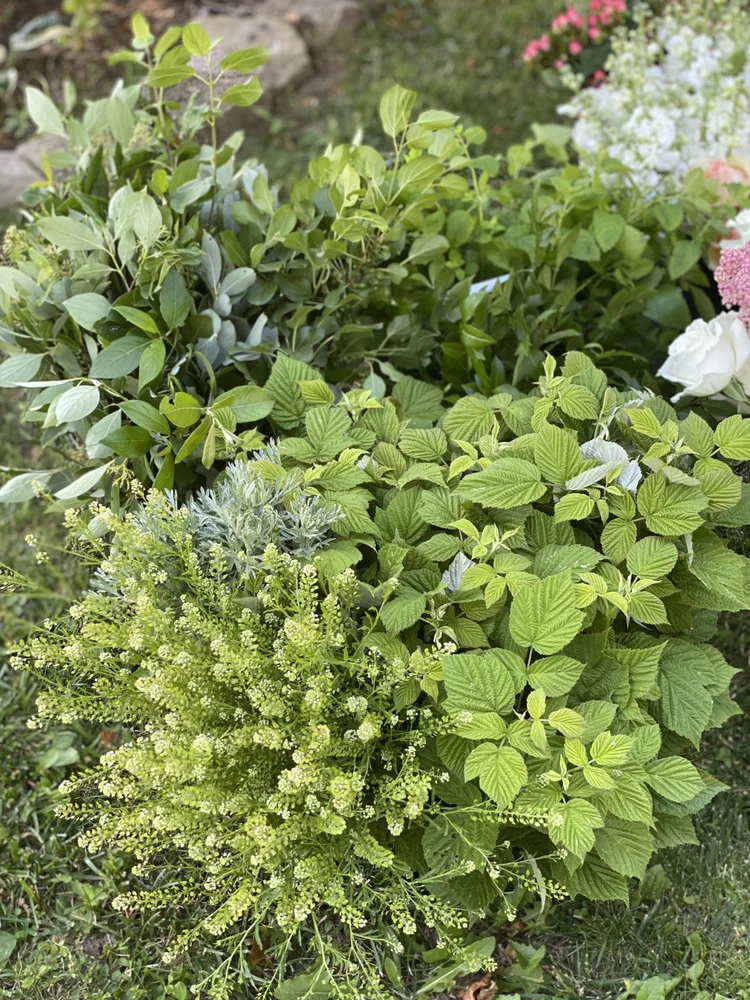 Best Foliage for the Flower Farmer — Heirloom Soul Florals