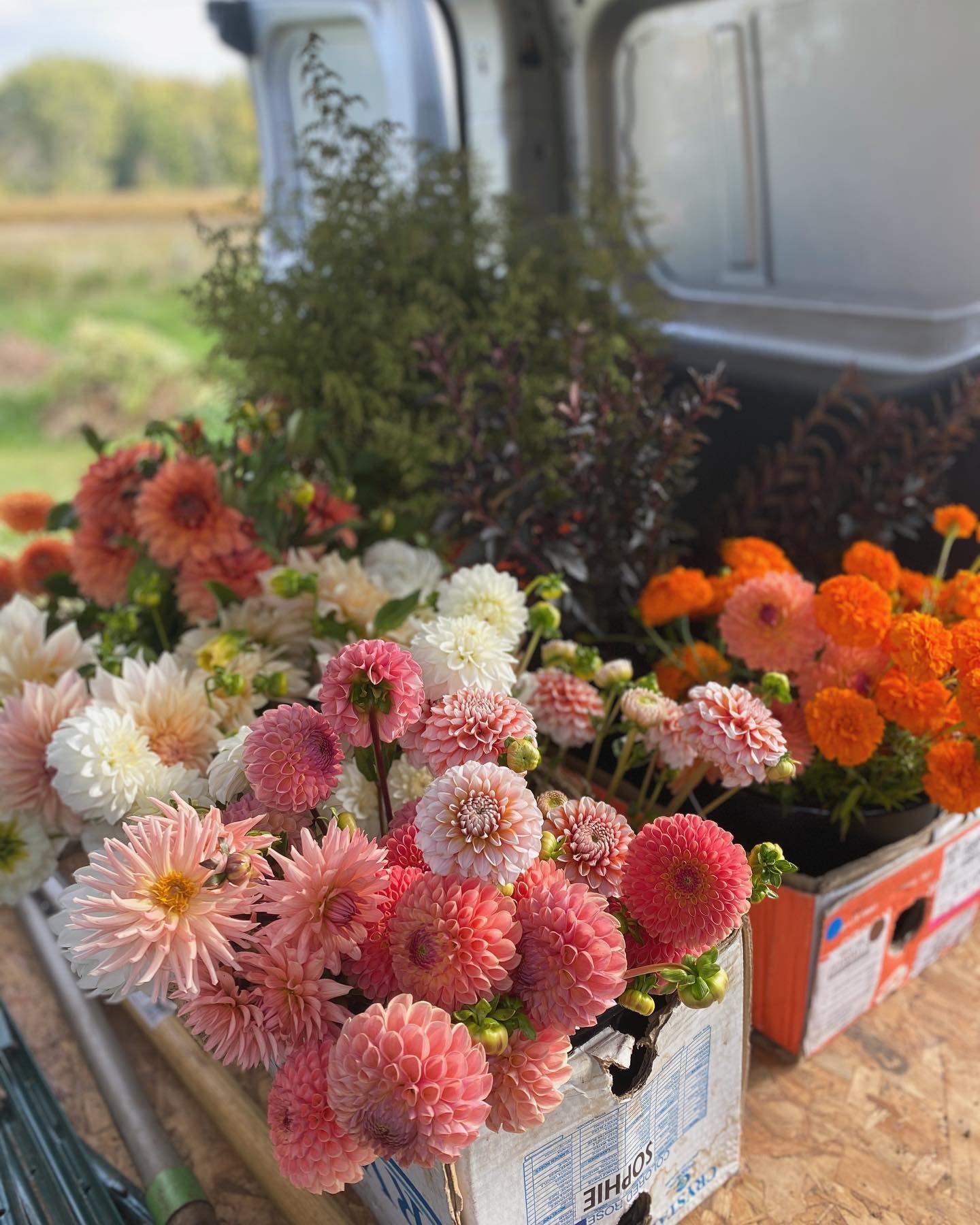 FREE Stem Count Guide for DIY Weddings — Heirloom Soul Florals