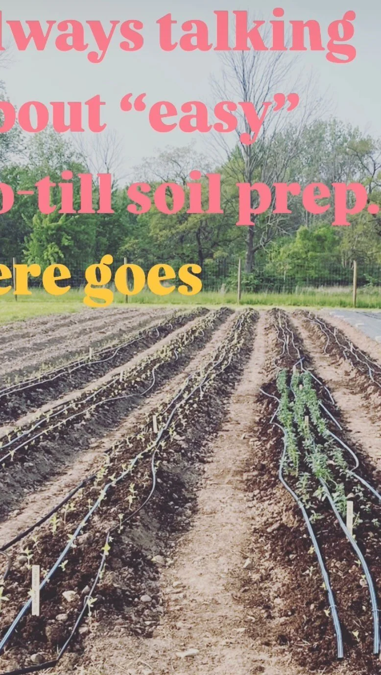 FREE Stem Count Guide for DIY Floral Design