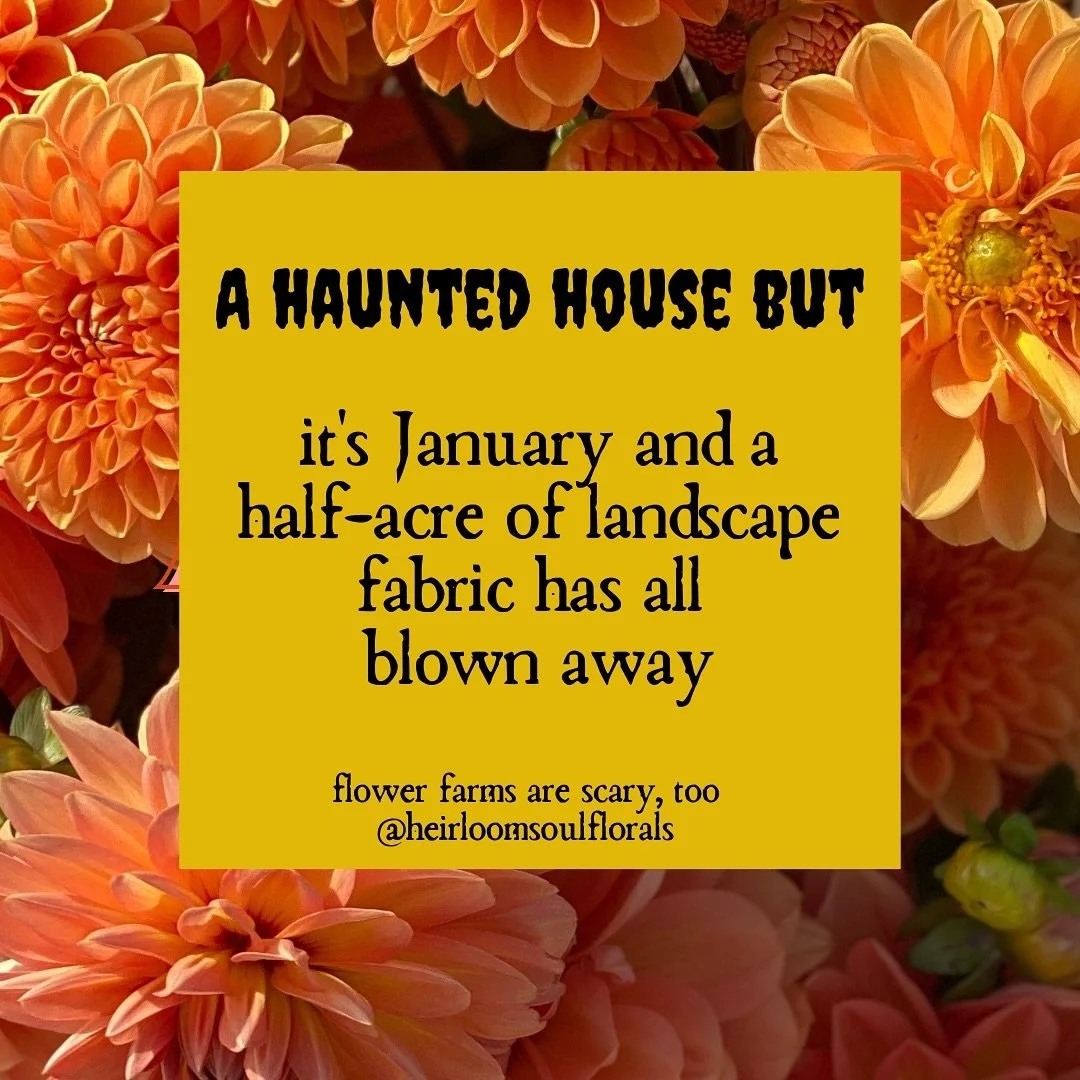 FREE Stem Count Guide for DIY Weddings — Heirloom Soul Florals