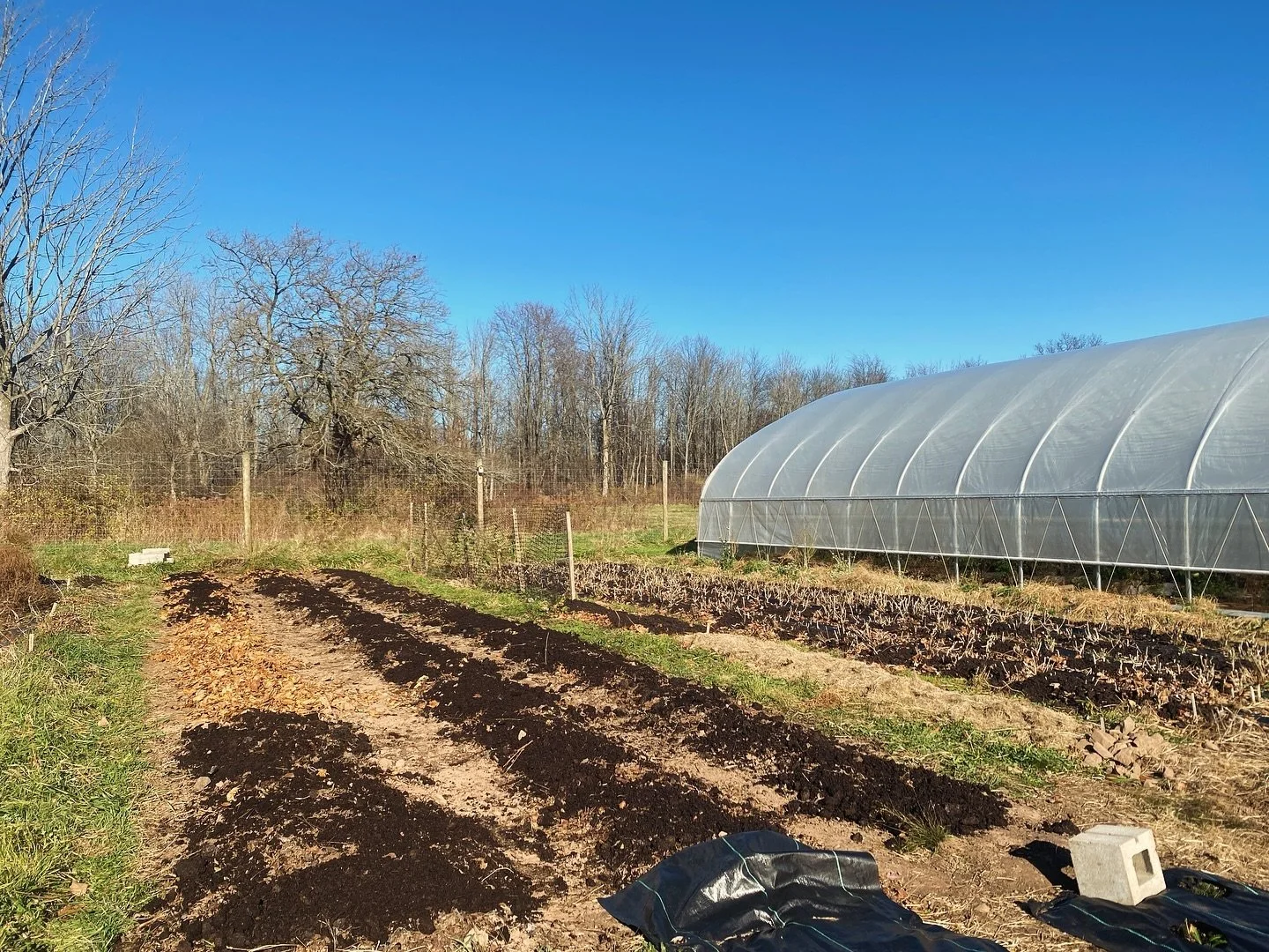 FREE Stem Count Guide for DIY Weddings — Heirloom Soul Florals