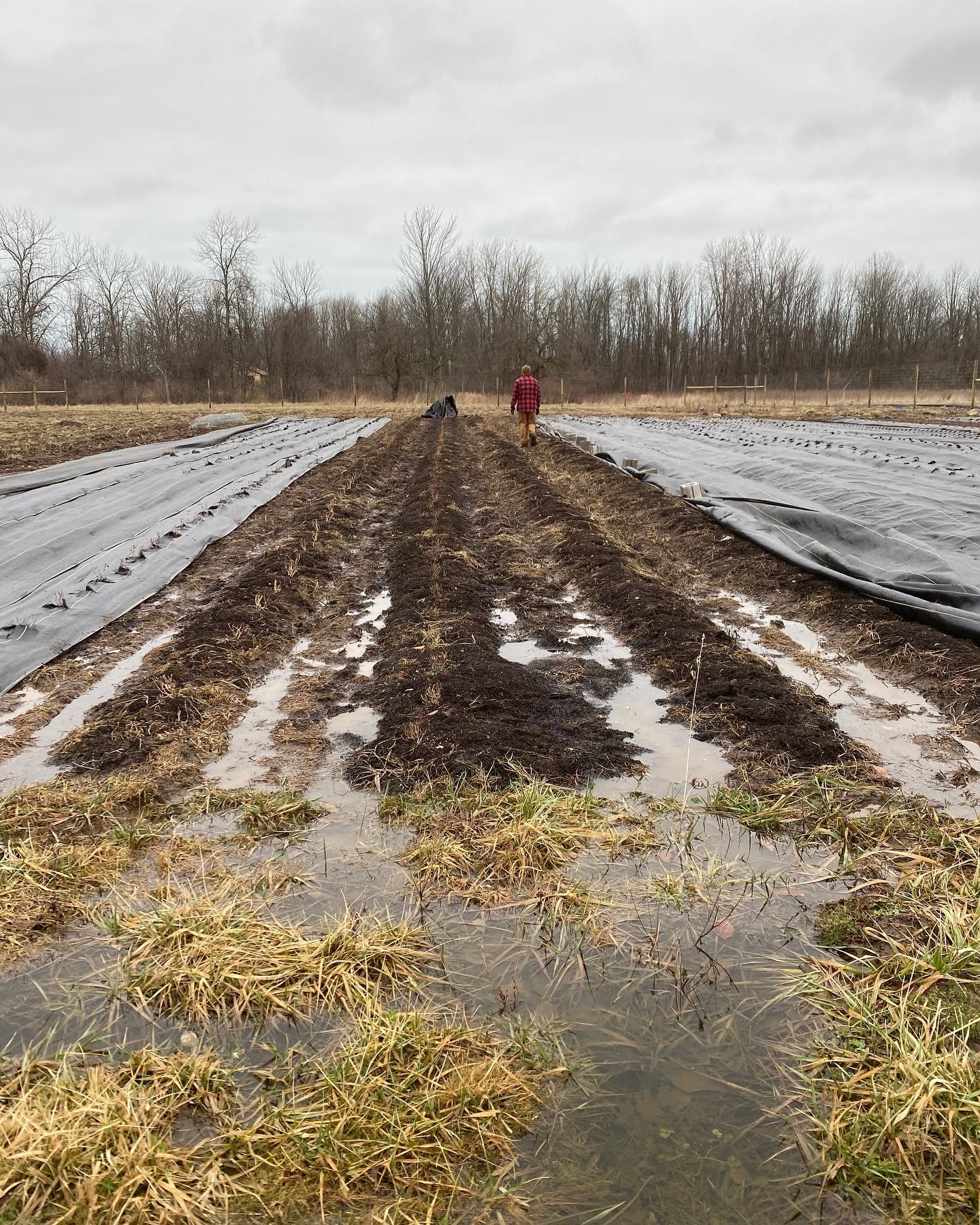 Building Permanent No-Till Raised Beds — Heirloom Soul Florals