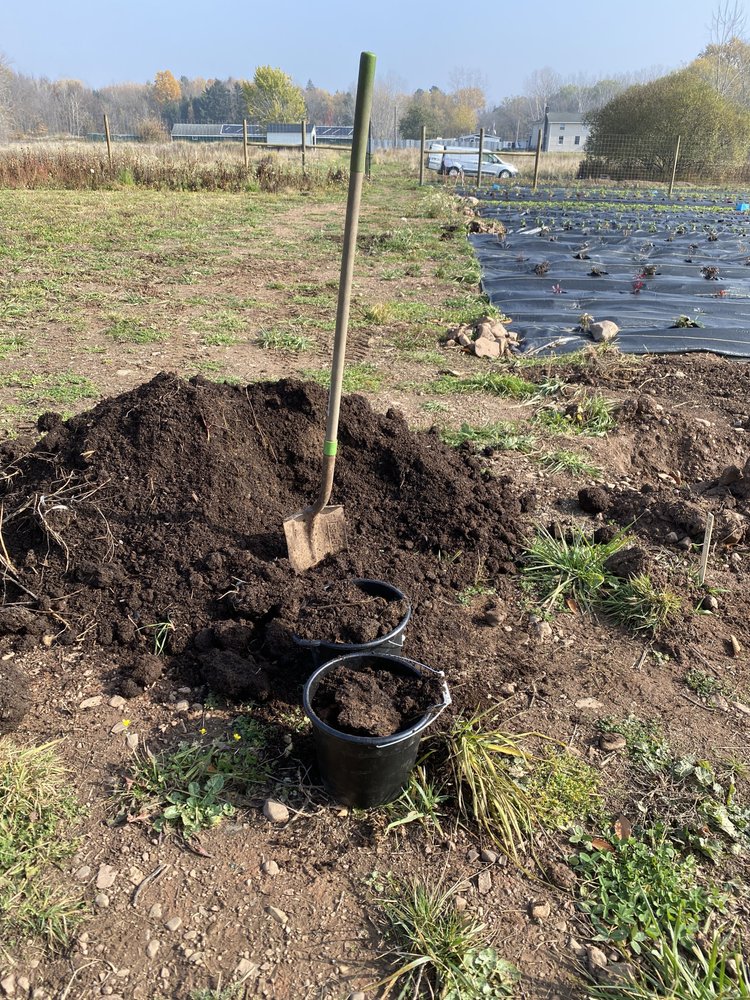 All About Using Compost in the Garden — Heirloom Soul Florals