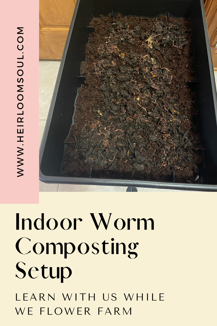 Indoor Worm Bin Setup & Worm Castings — Heirloom Soul Florals