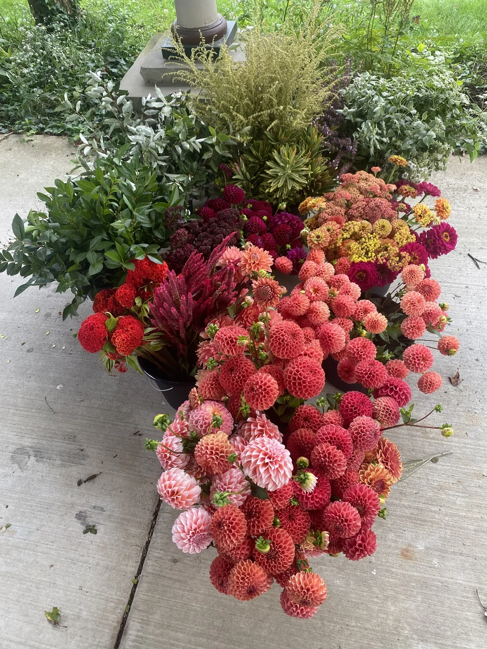 Buy Bulk Flowers in Buffalo, NY