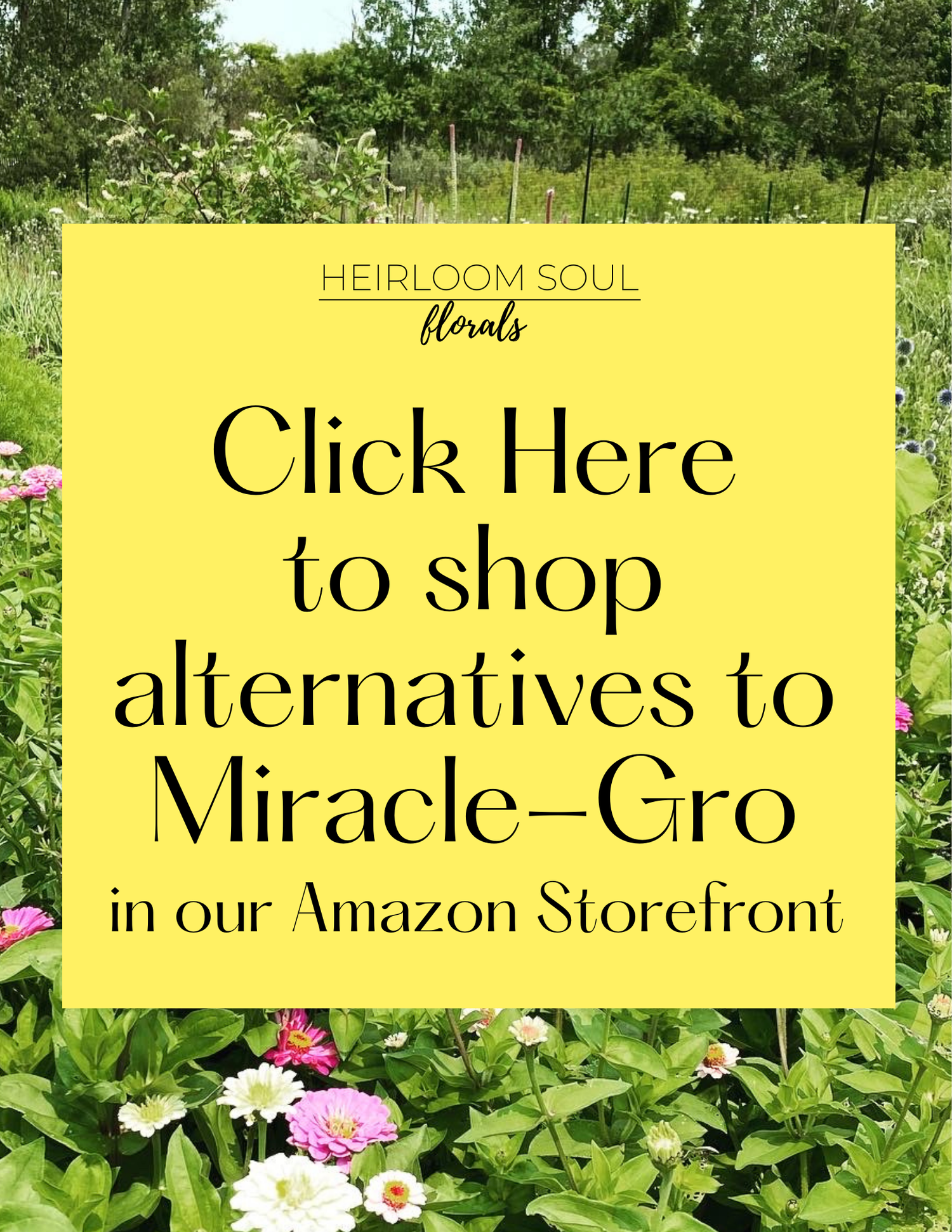 Yes, Miracle Gro is Bad and This Is Why — Heirloom Soul Florals