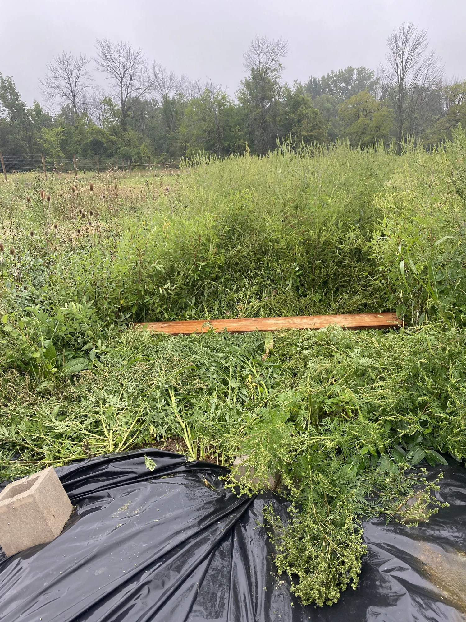 How to Hold Silage Tarps Down — Heirloom Soul Florals