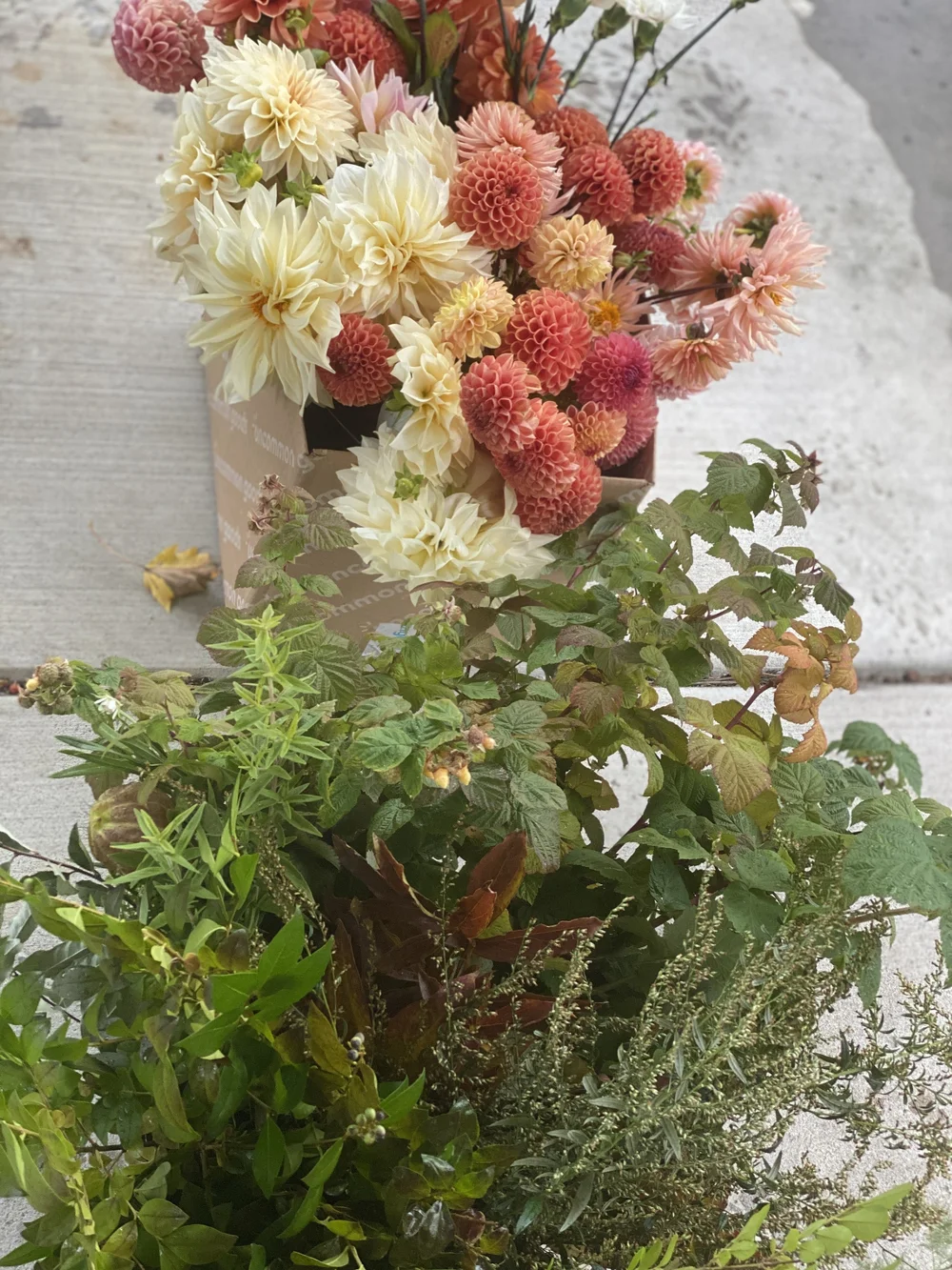 Buy Bulk Flowers in Buffalo, NY