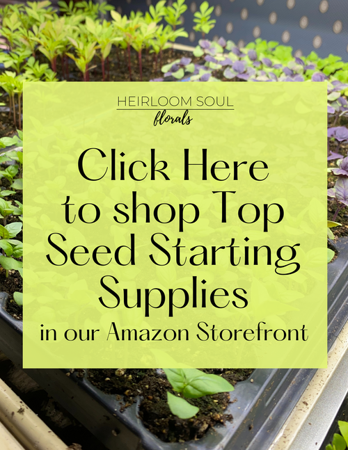 How to DIY a Seed Starting Setup — Heirloom Soul Florals