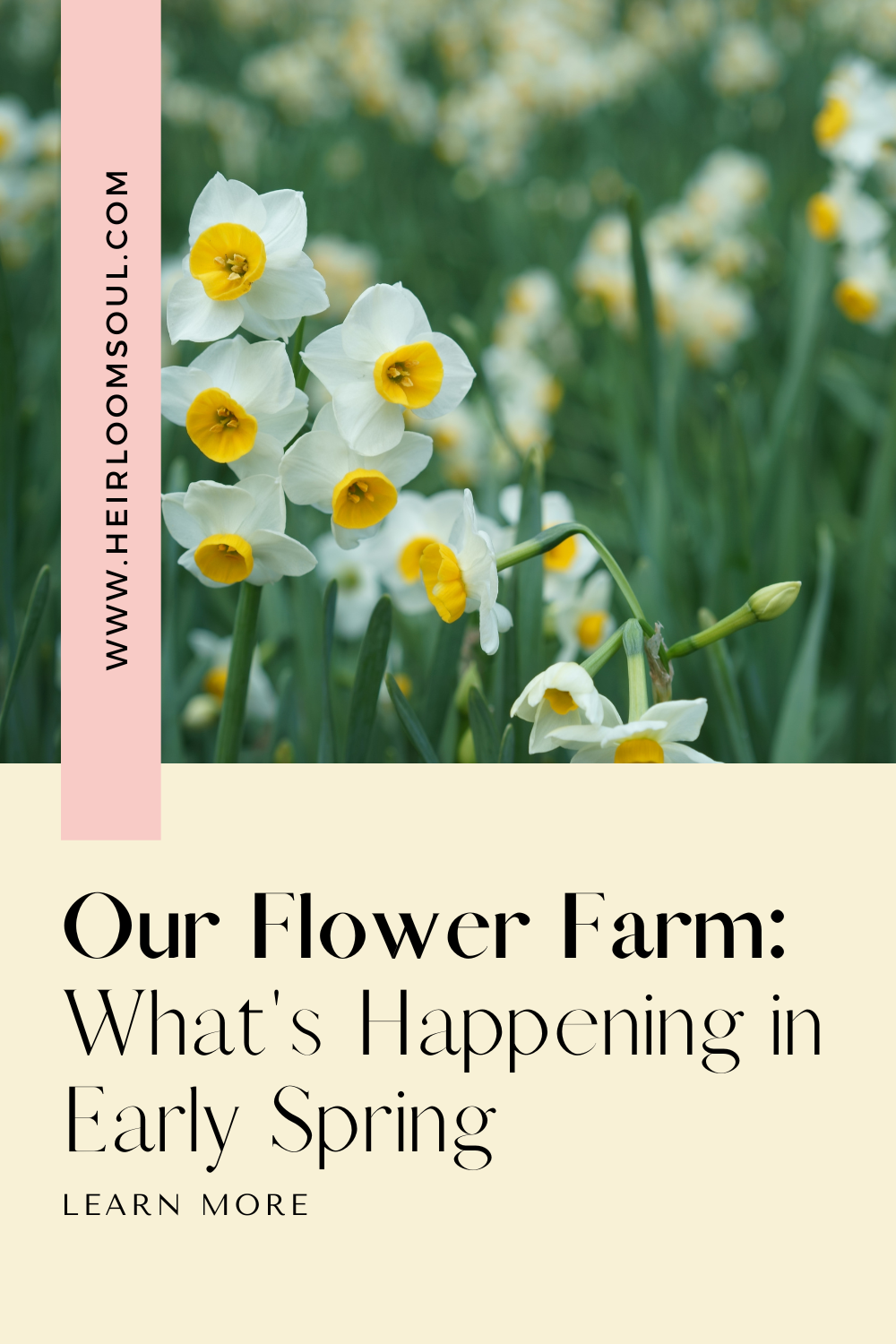 Flower Farm Updates for Spring 2021 — Heirloom Soul Florals