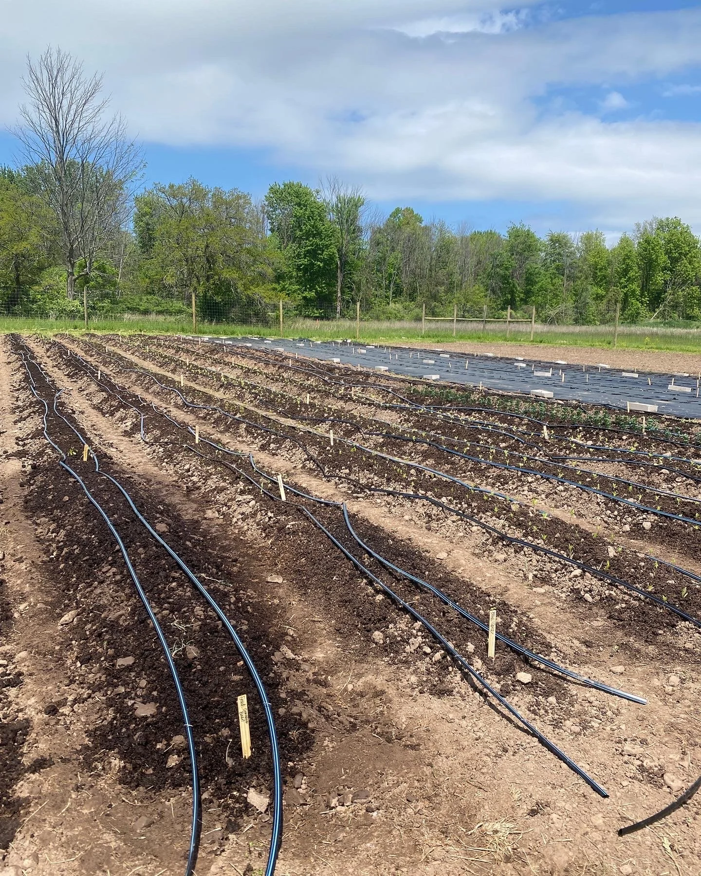 Building Permanent No-Till Raised Beds — Heirloom Soul Florals