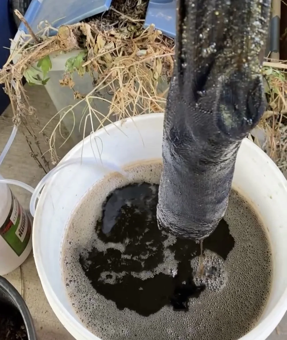 The Ultimate Compost Tea Recipe + How-To — Heirloom Soul Florals