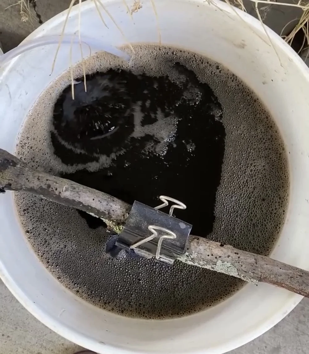 The Ultimate Compost Tea Recipe + How-To — Heirloom Soul Florals