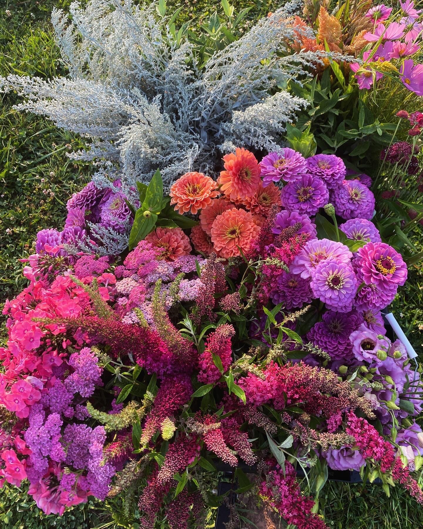 Buy Bulk Flowers in Buffalo, NY
