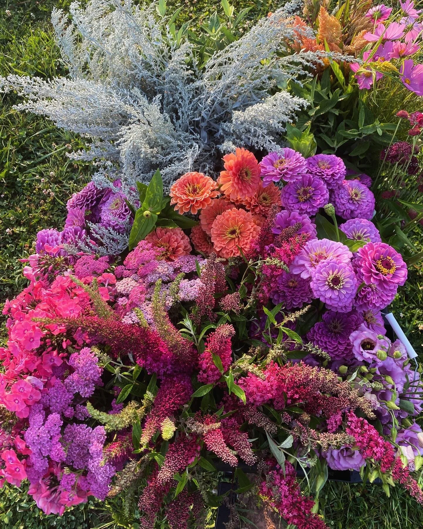 Buy Bulk Flowers in Buffalo, NY