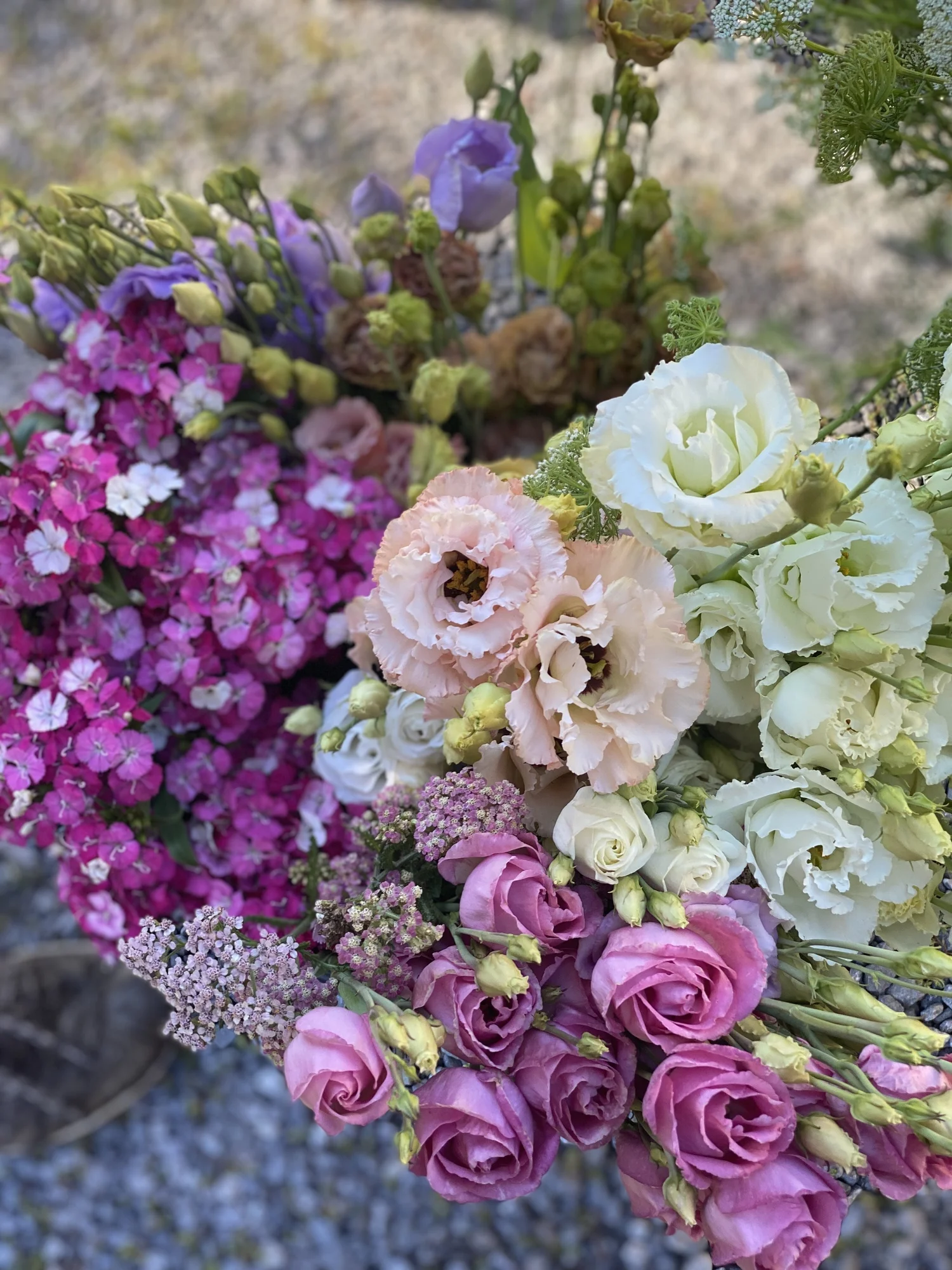 Buy Bulk Flowers in Buffalo, NY