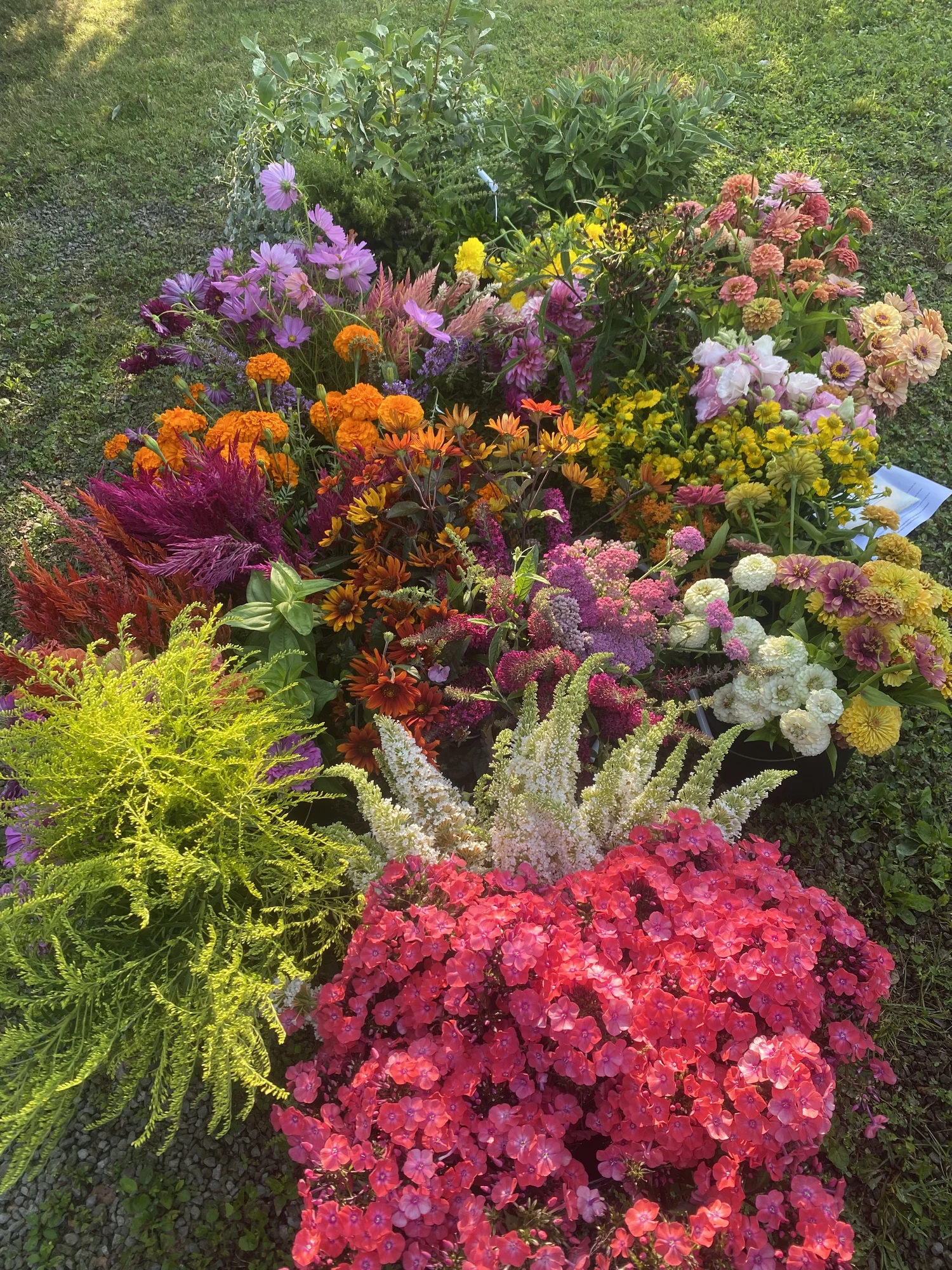 Buy Bulk Flowers in Buffalo, NY