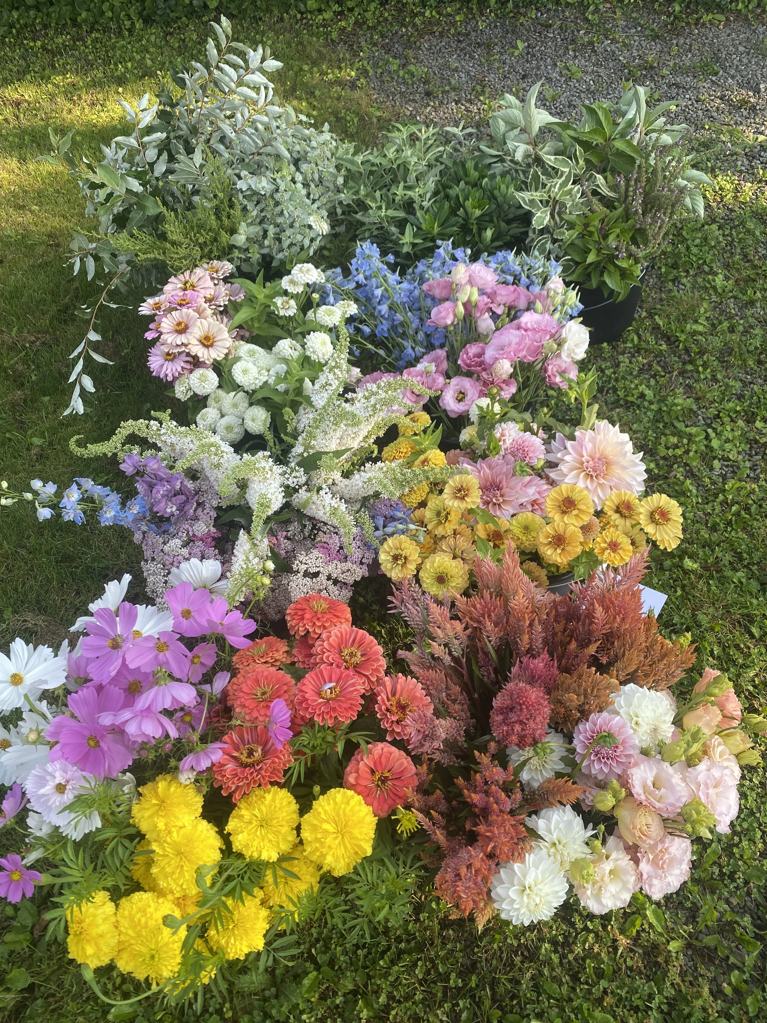 Buy Bulk Flowers in Buffalo, NY
