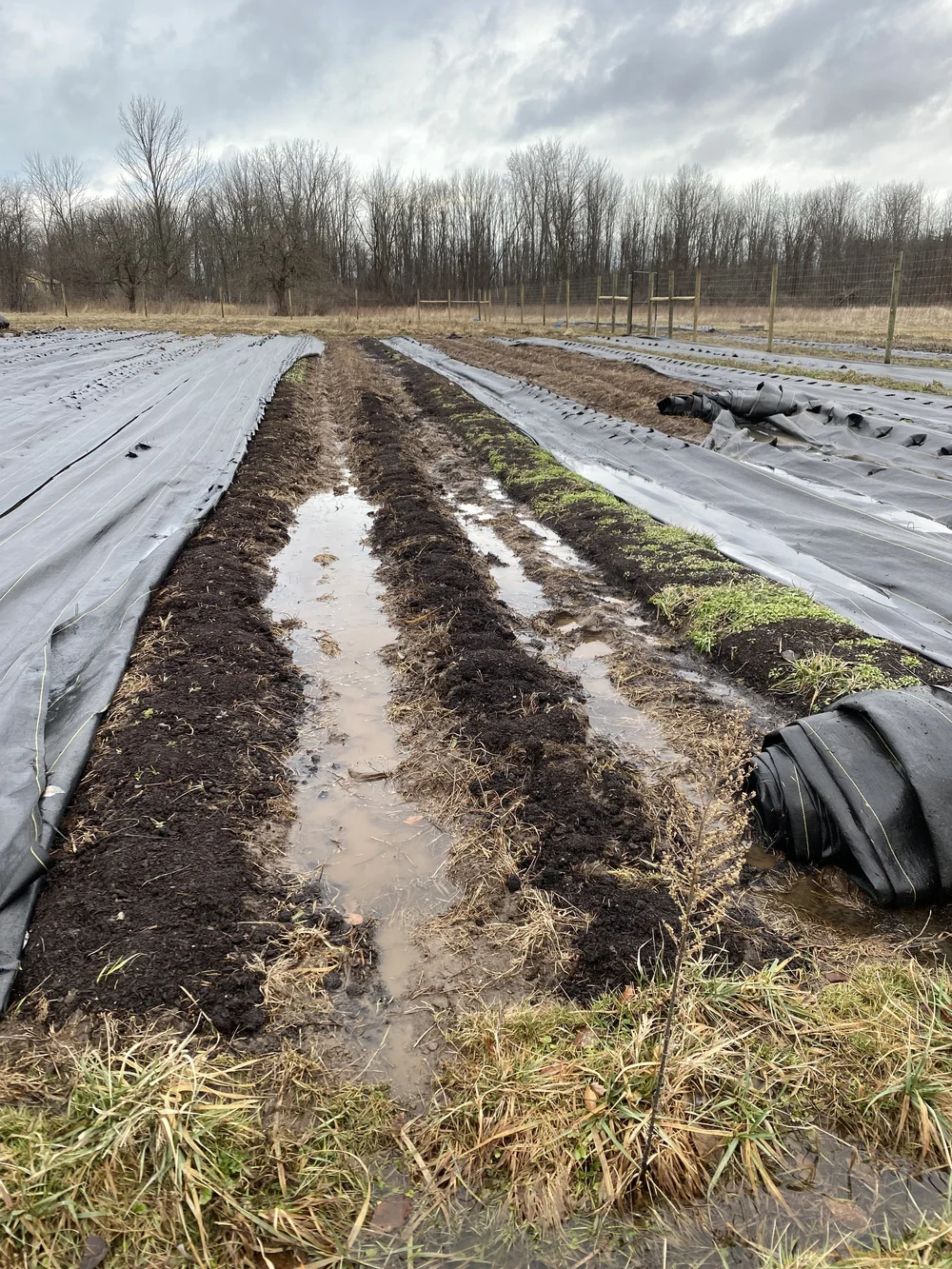 Building Permanent No-Till Raised Beds — Heirloom Soul Florals