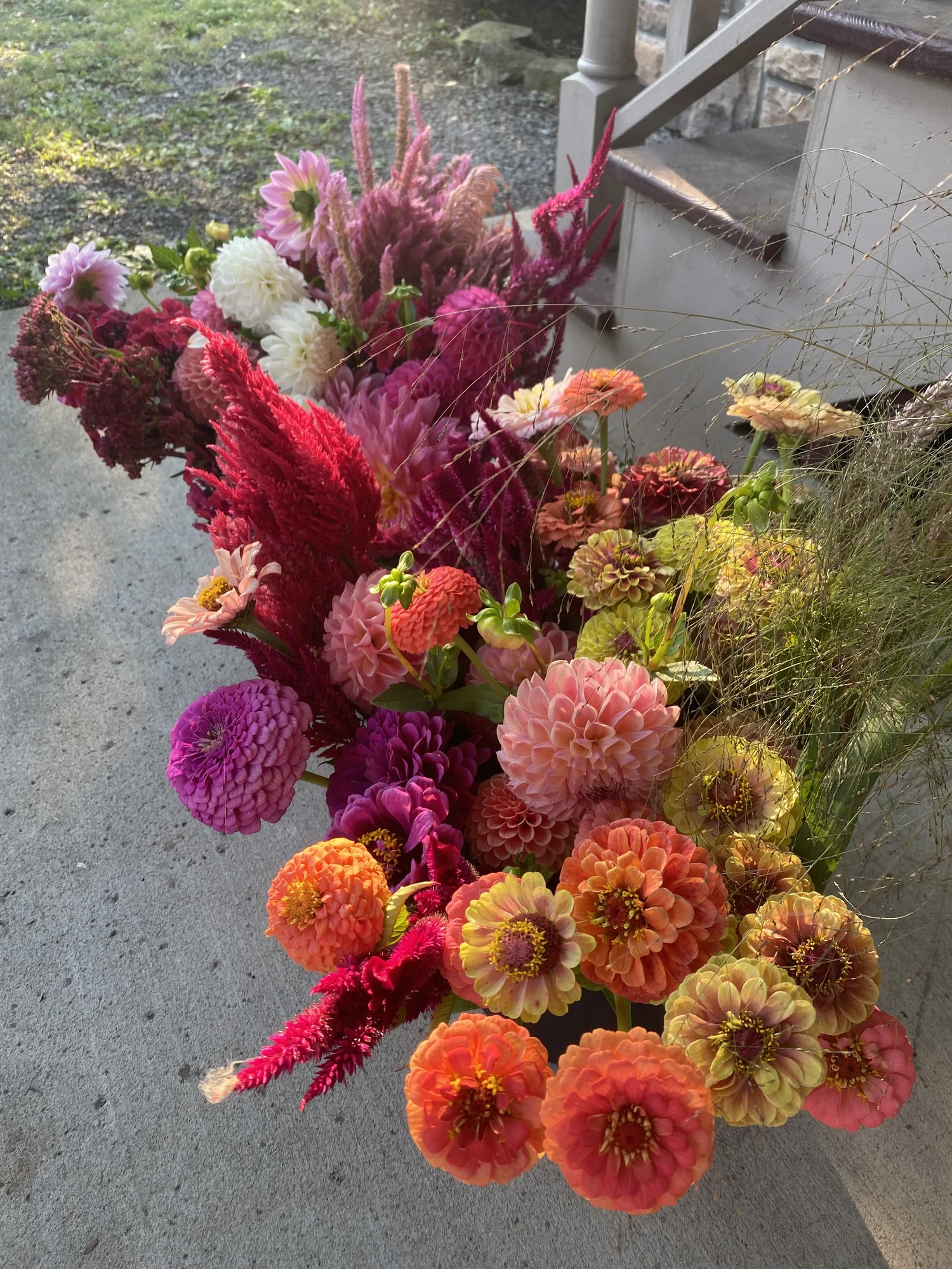 Buy Bulk Flowers in Buffalo, NY