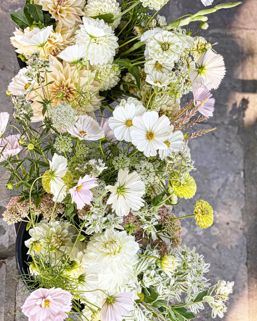 Buy Bulk Flowers in Buffalo, NY