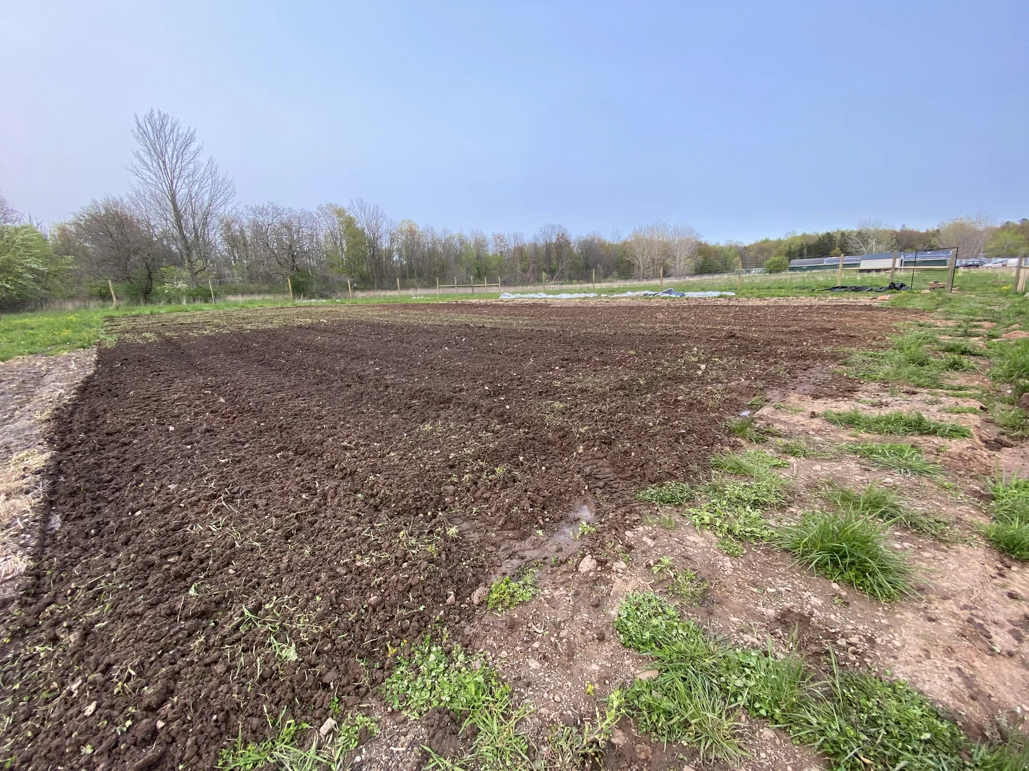 Why is Tilling So Bad? — Heirloom Soul Florals