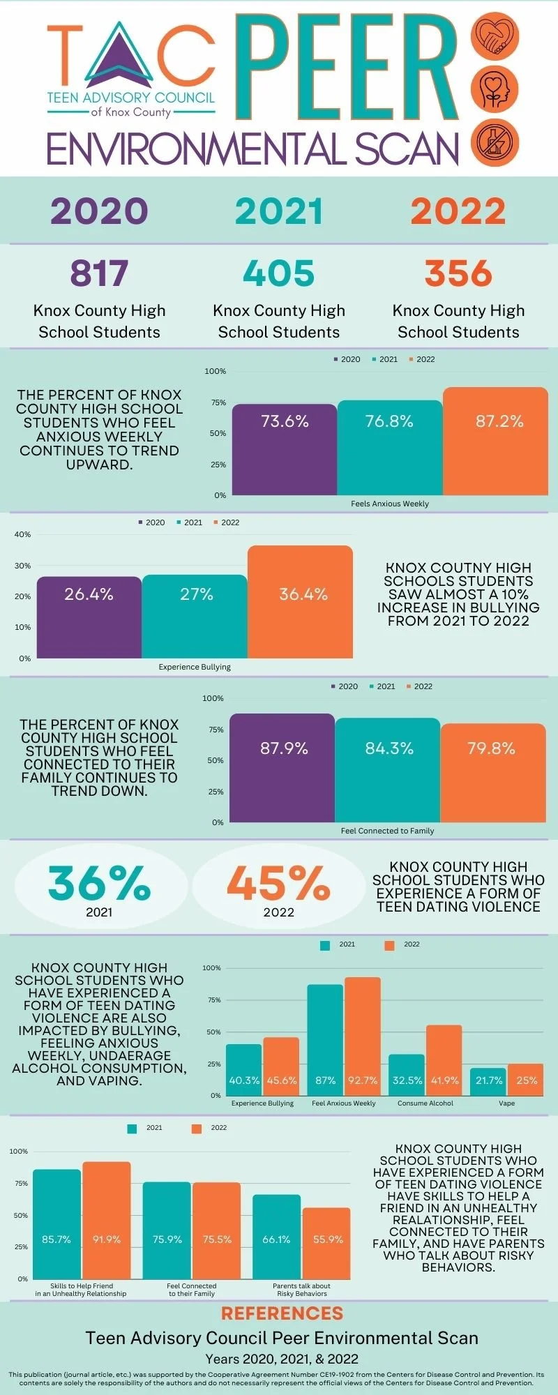 Peer Environmental Scan — Teen Advisory Council