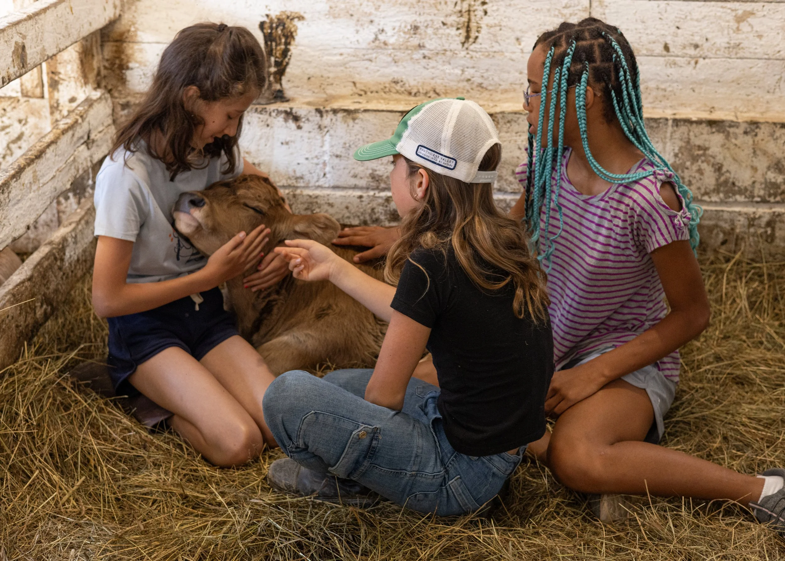 Hawthorne Valley Farm