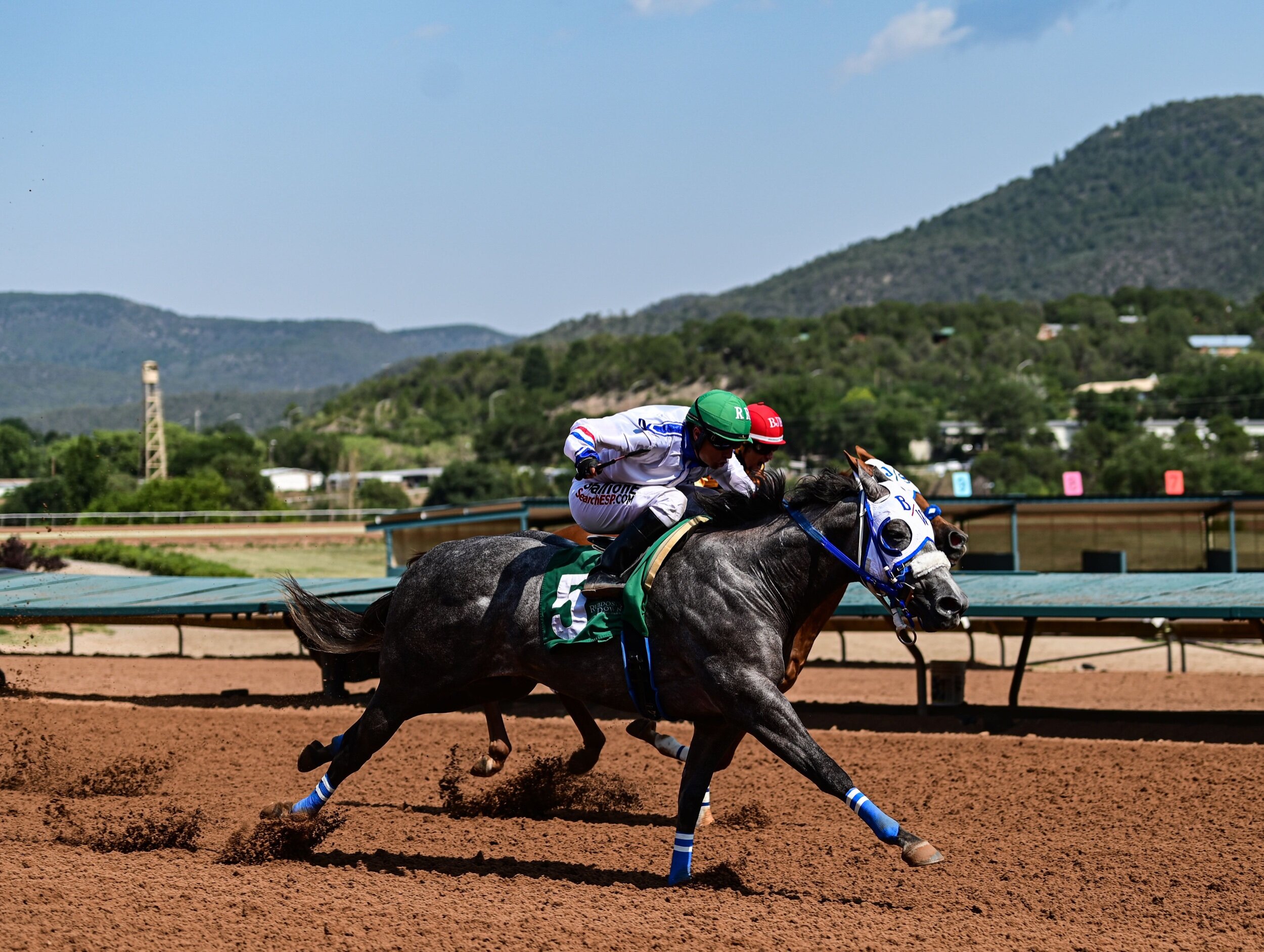 Introduction — Ruidoso Downs Race Track and Casino