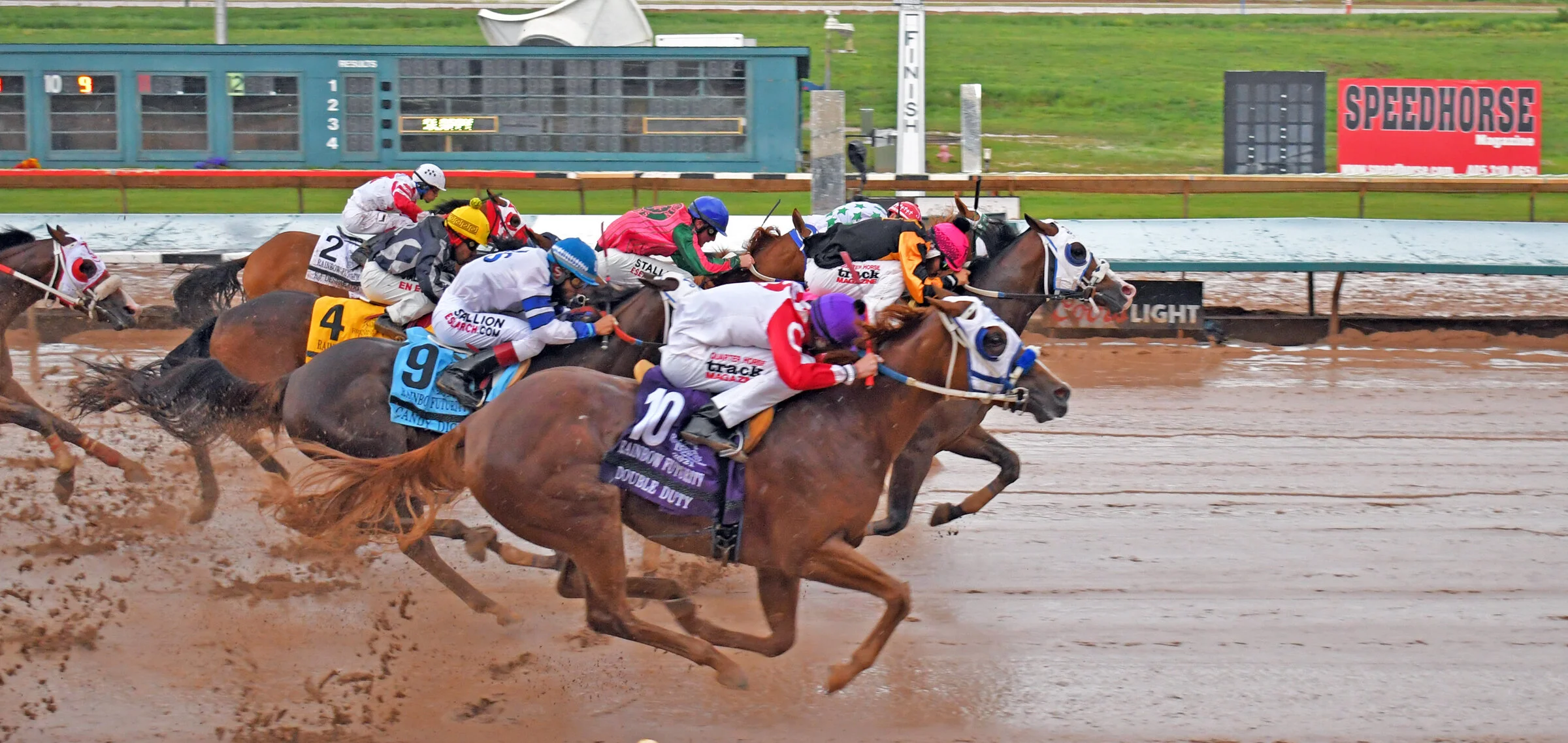 Introduction — Ruidoso Downs Race Track and Casino