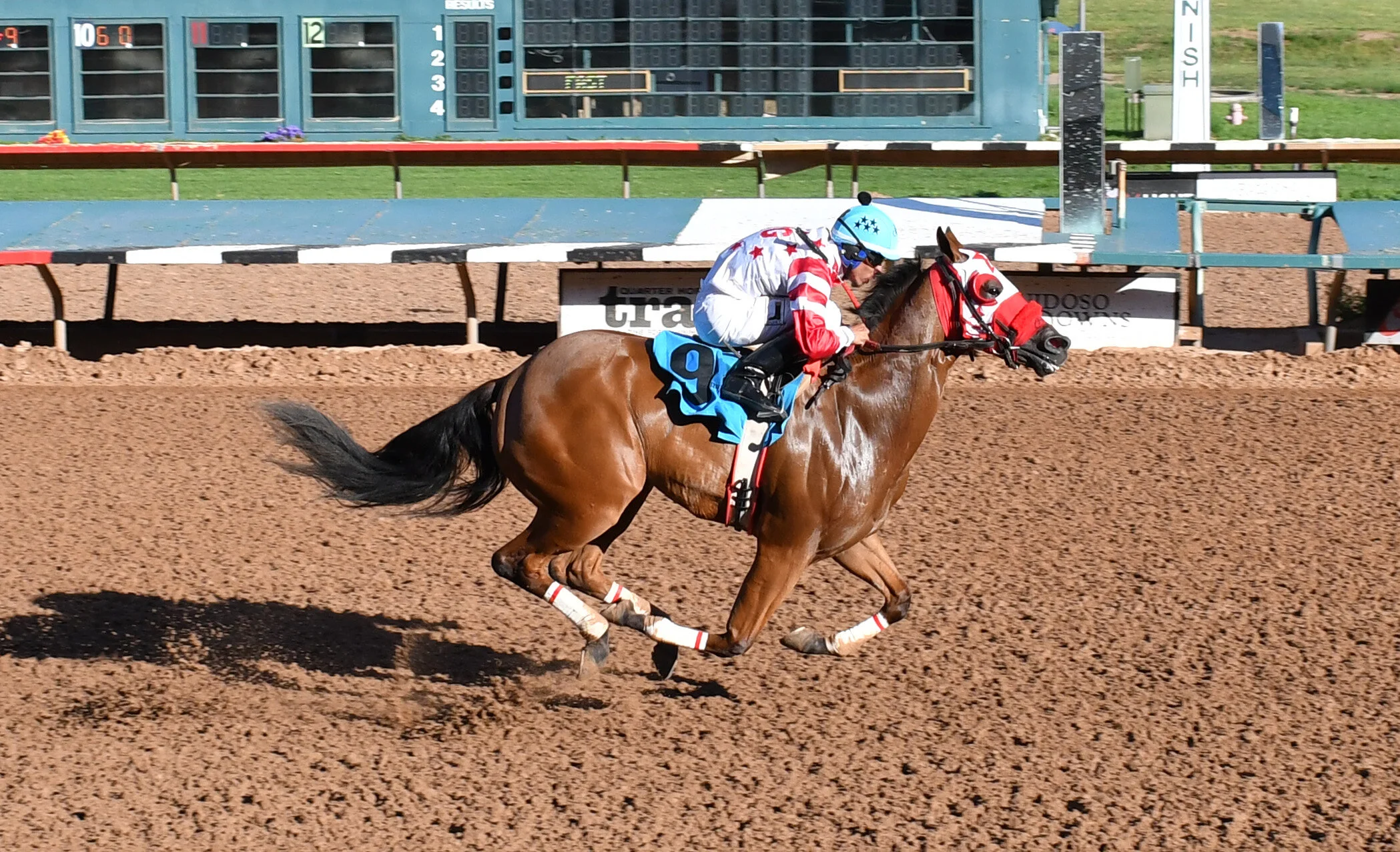 Introduction — Ruidoso Downs Race Track and Casino