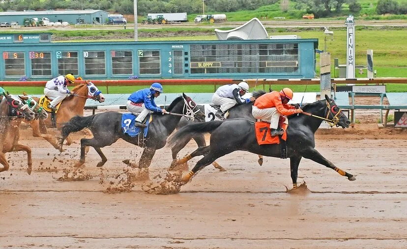 Introduction — Ruidoso Downs Race Track and Casino