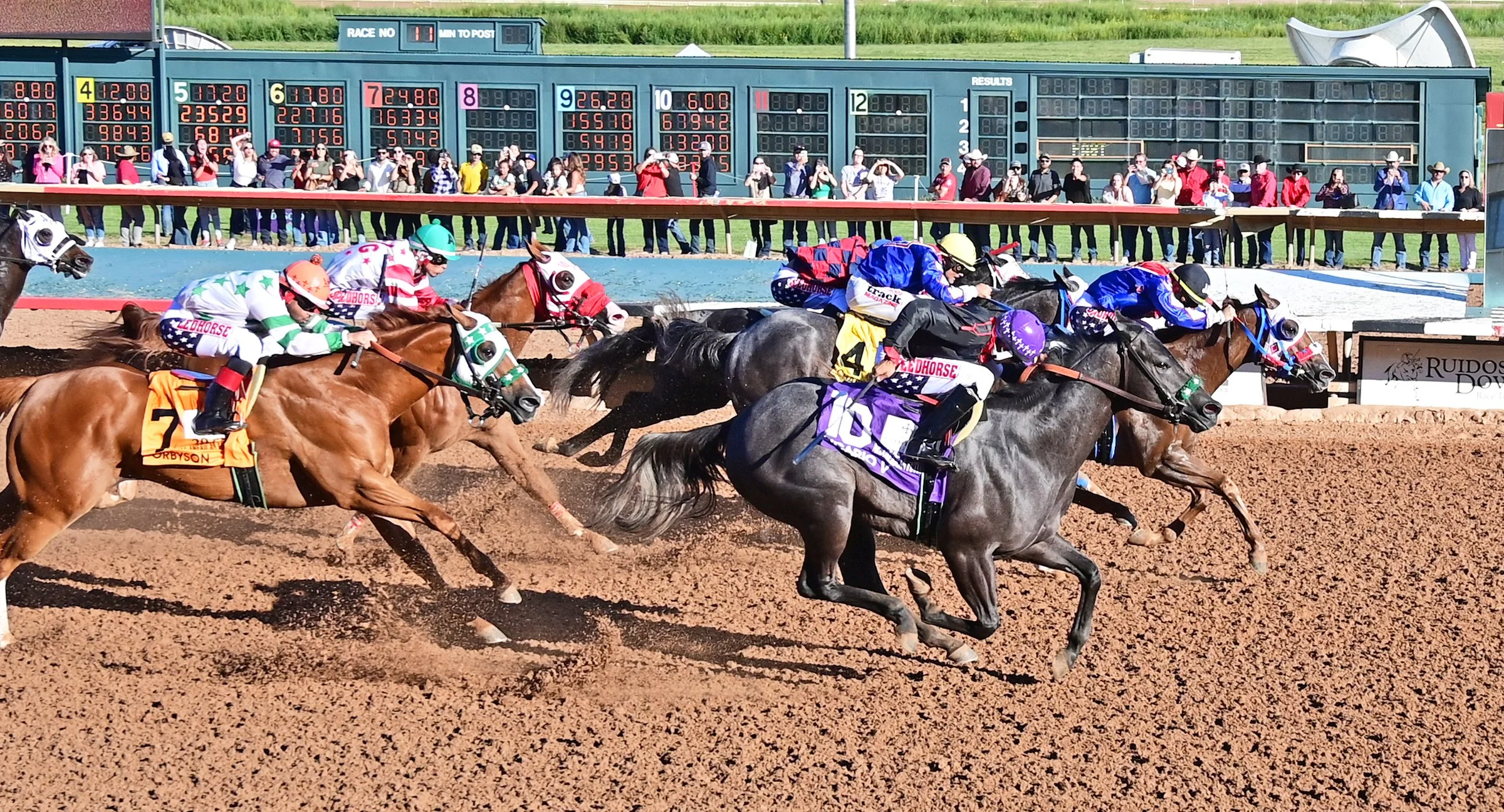 Introduction — Ruidoso Downs Race Track and Casino
