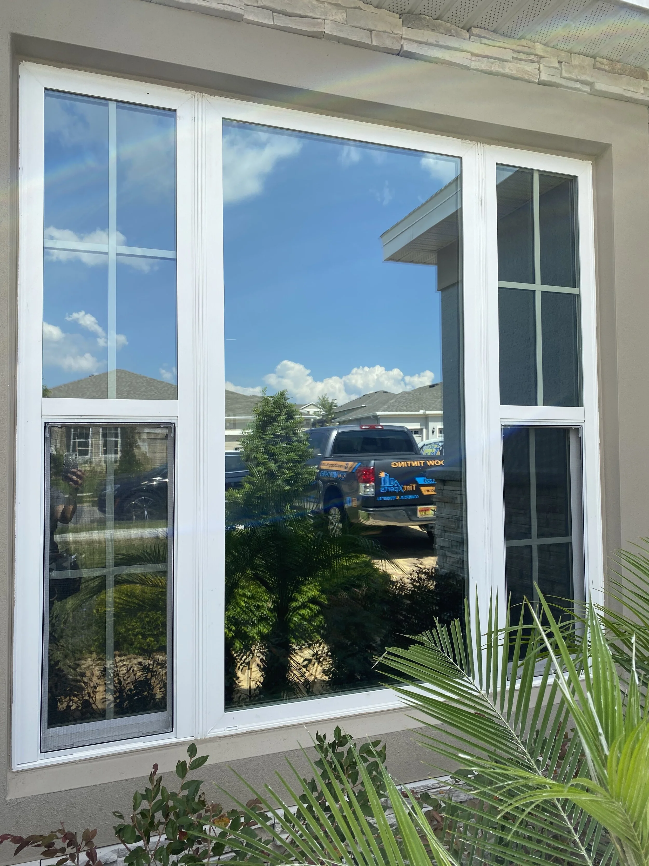 Blog/Projects — Tint Xperts