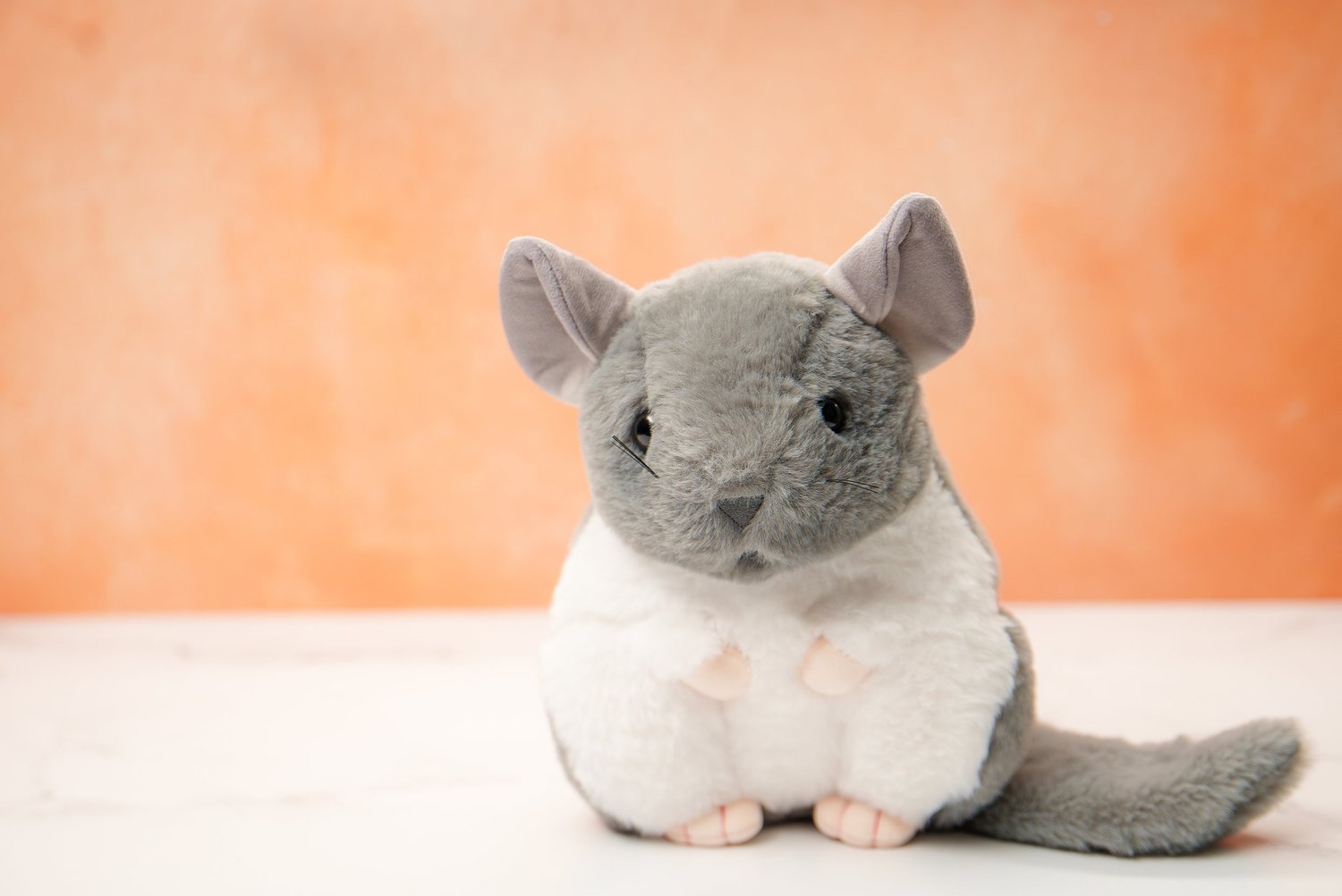 Chinchilla Toys